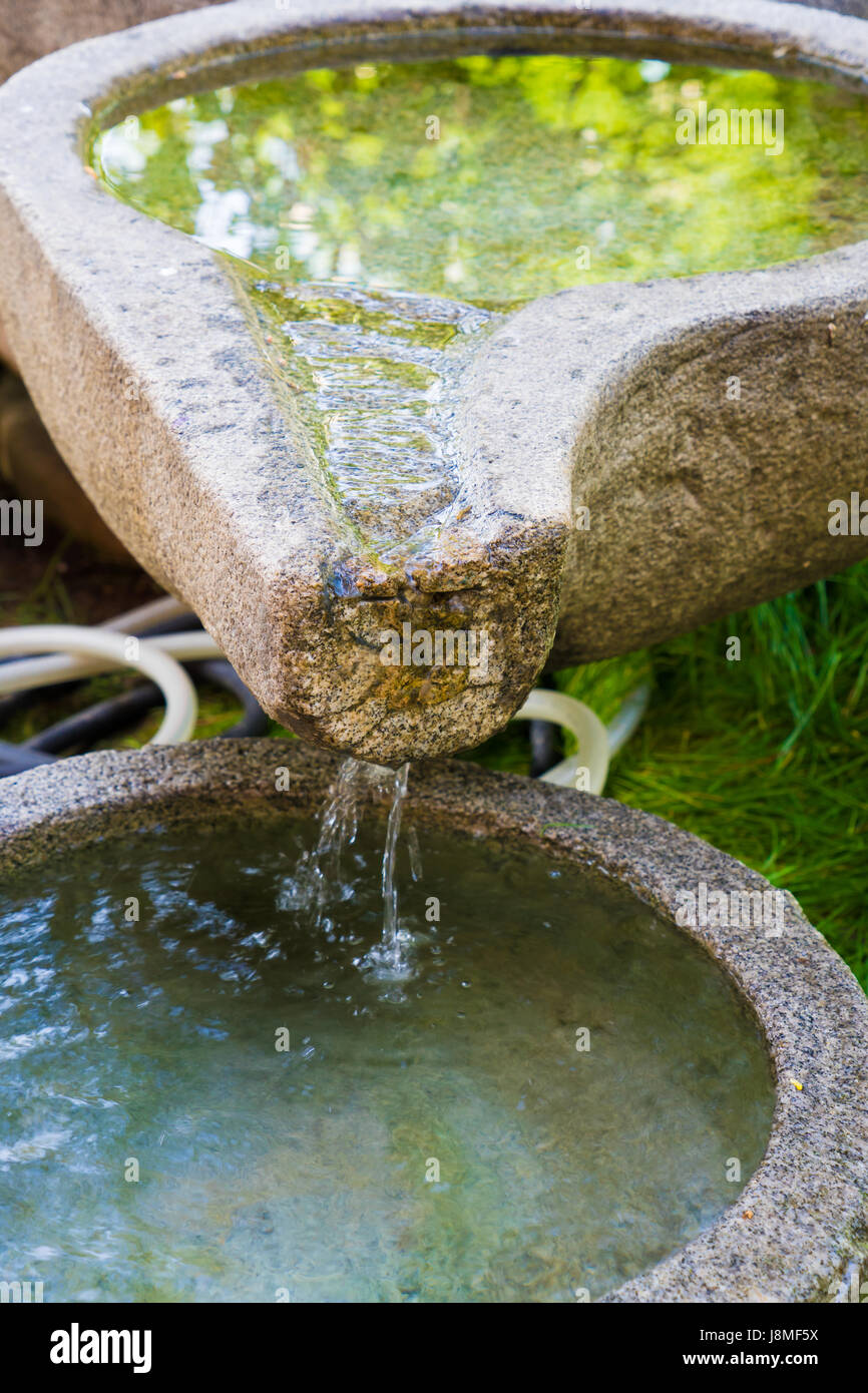 close up of natural water pond Stock Photo - Alamy