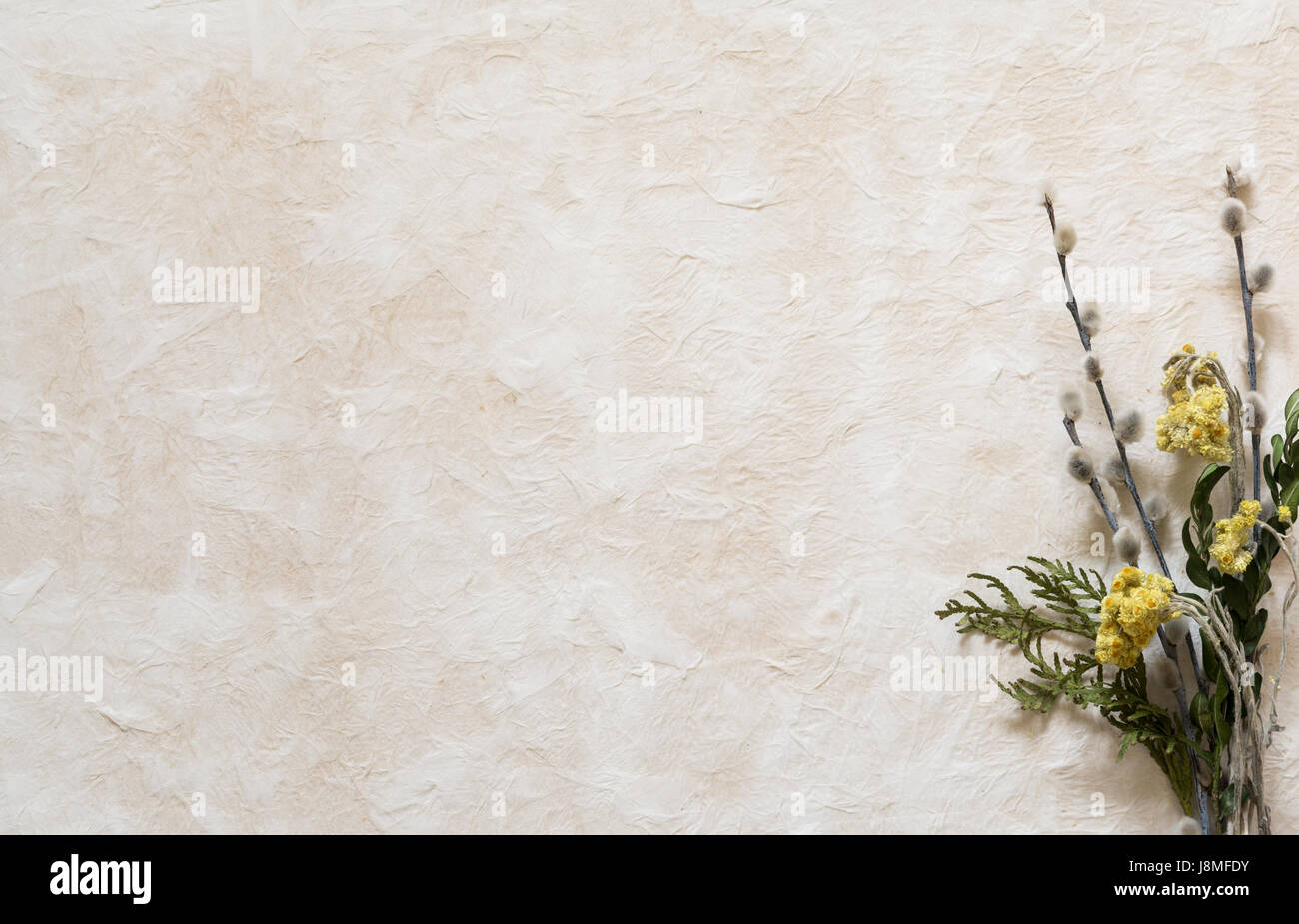 Natural colour paper clay texture background with dried flowers Stock ...