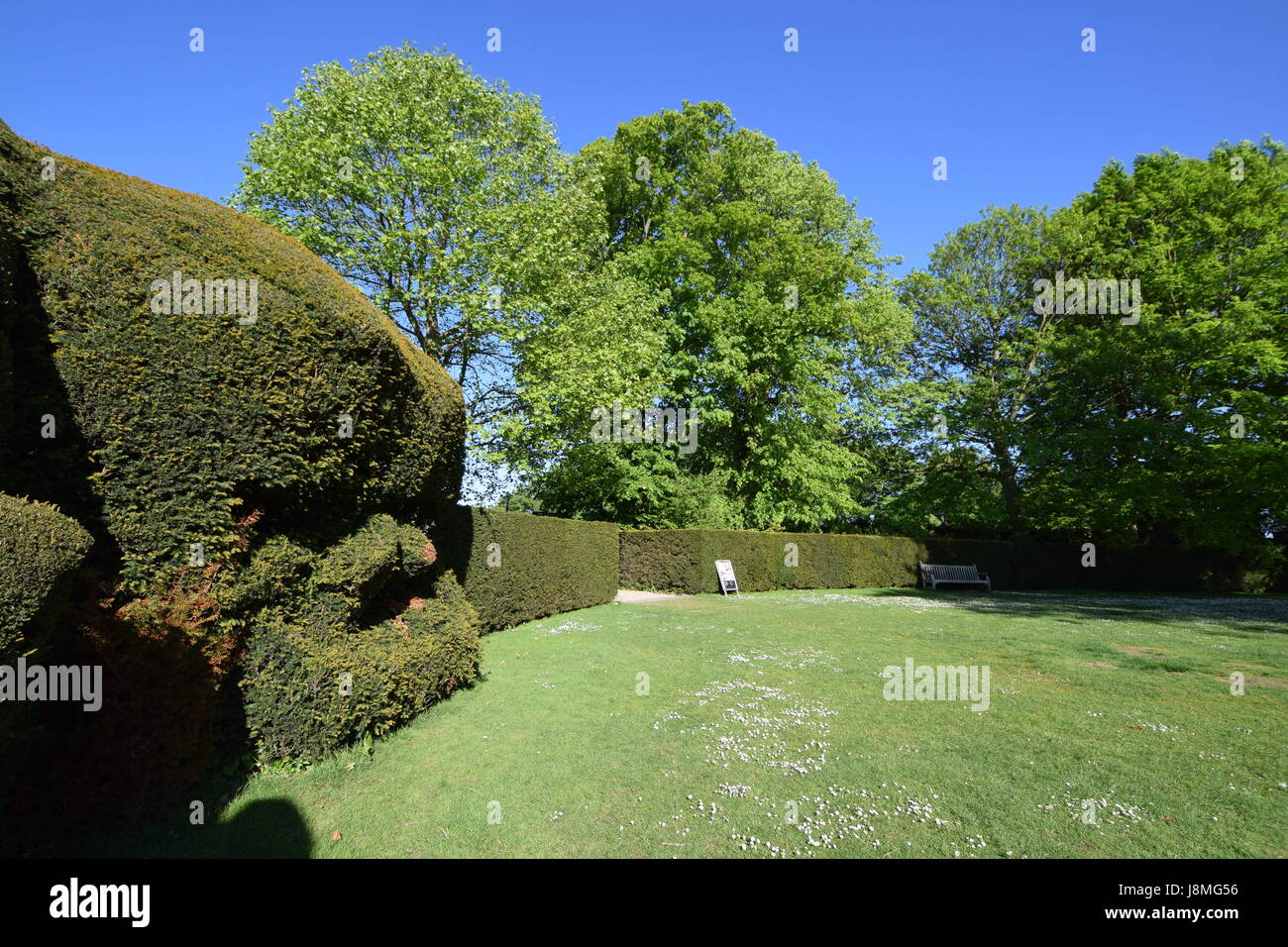 Walmer Castle, Kent Coast Stock Photo - Alamy