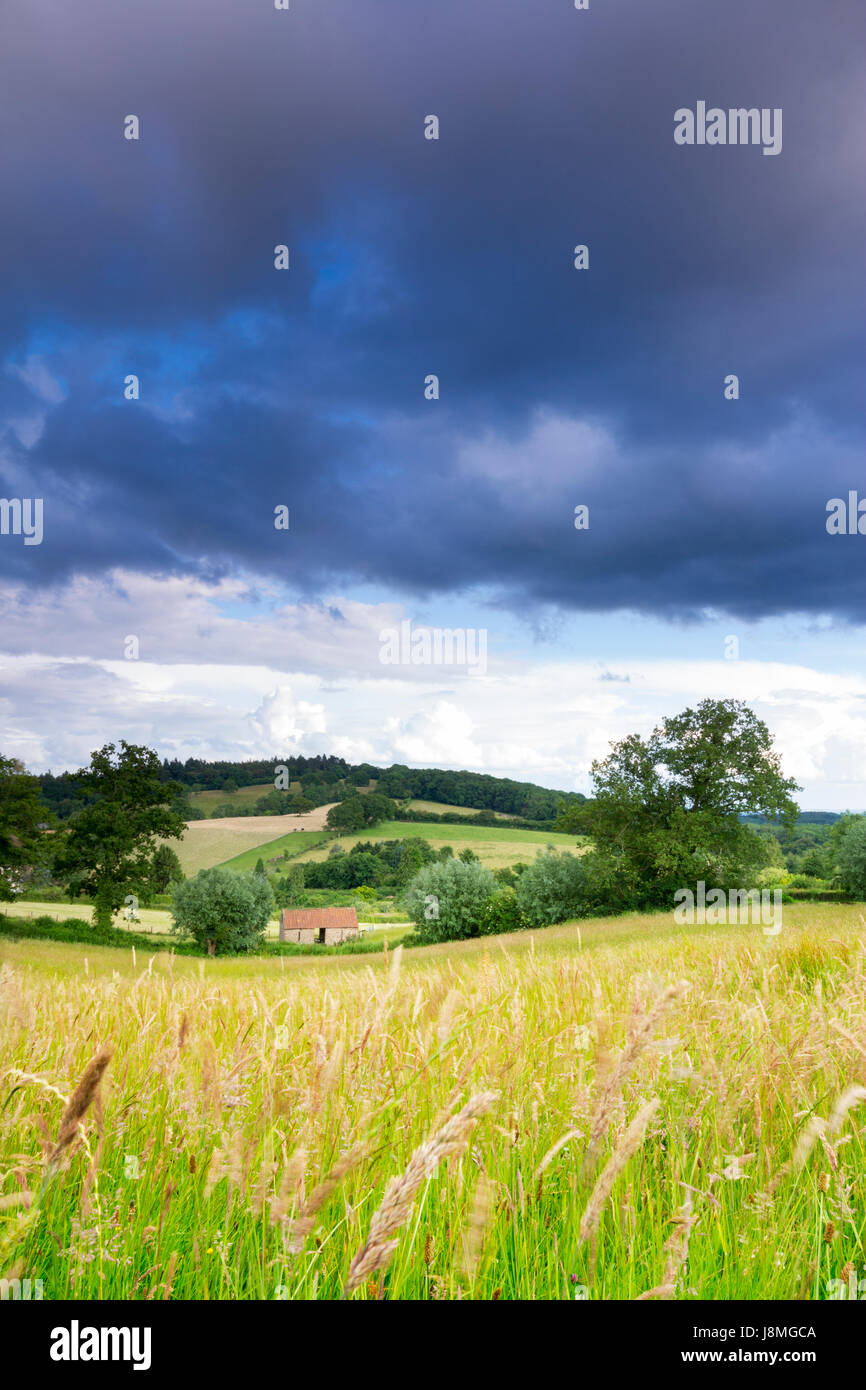English farmland landscape hi-res stock photography and images - Alamy