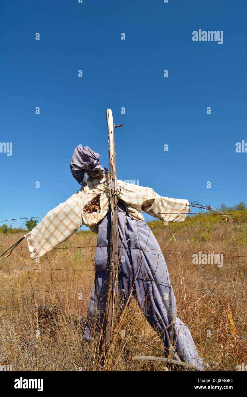 Scary corn field hi-res stock photography and images - Alamy