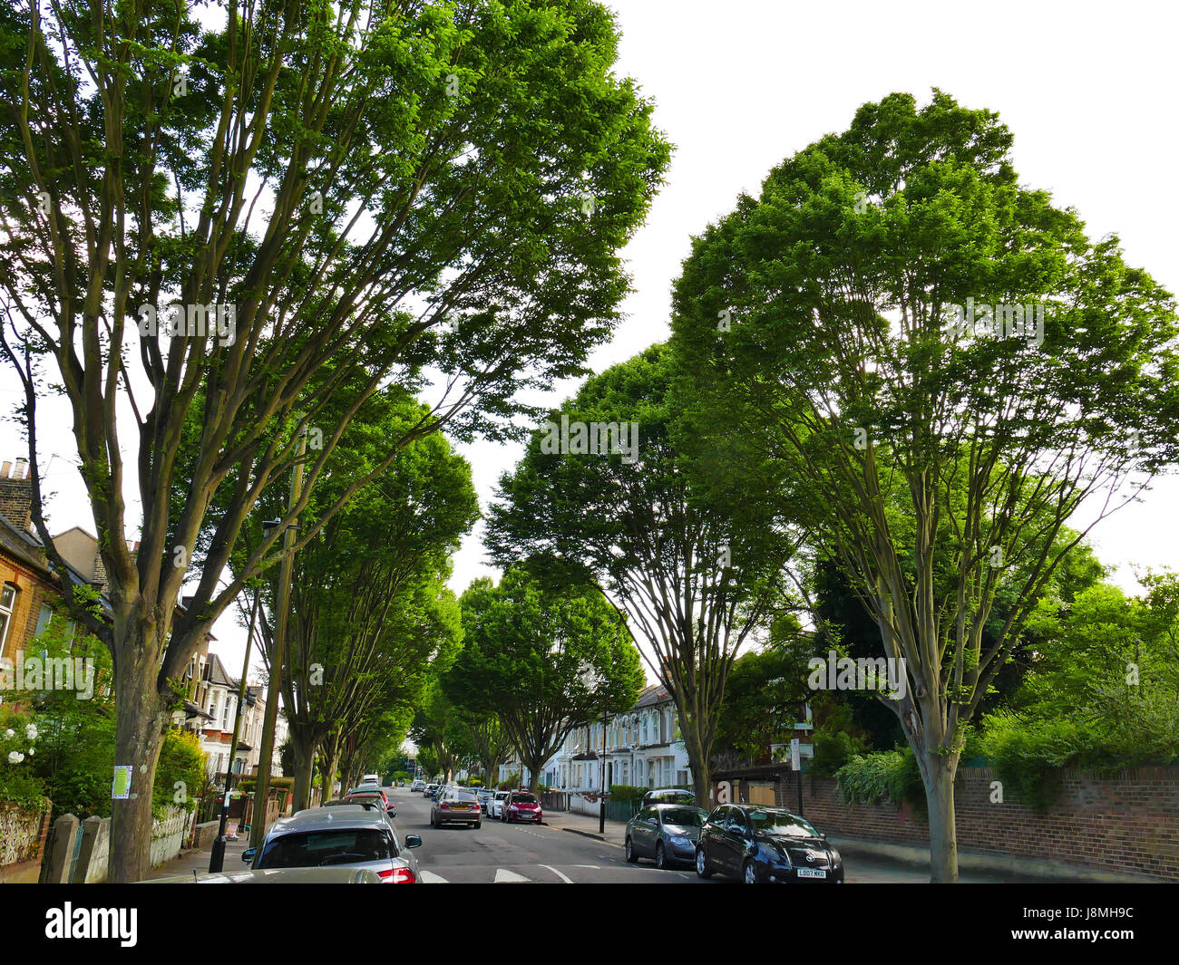 Forest gate london forest gate hi-res stock photography and images - Alamy
