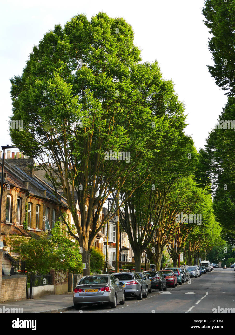 Forest gate hi-res stock photography and images - Alamy