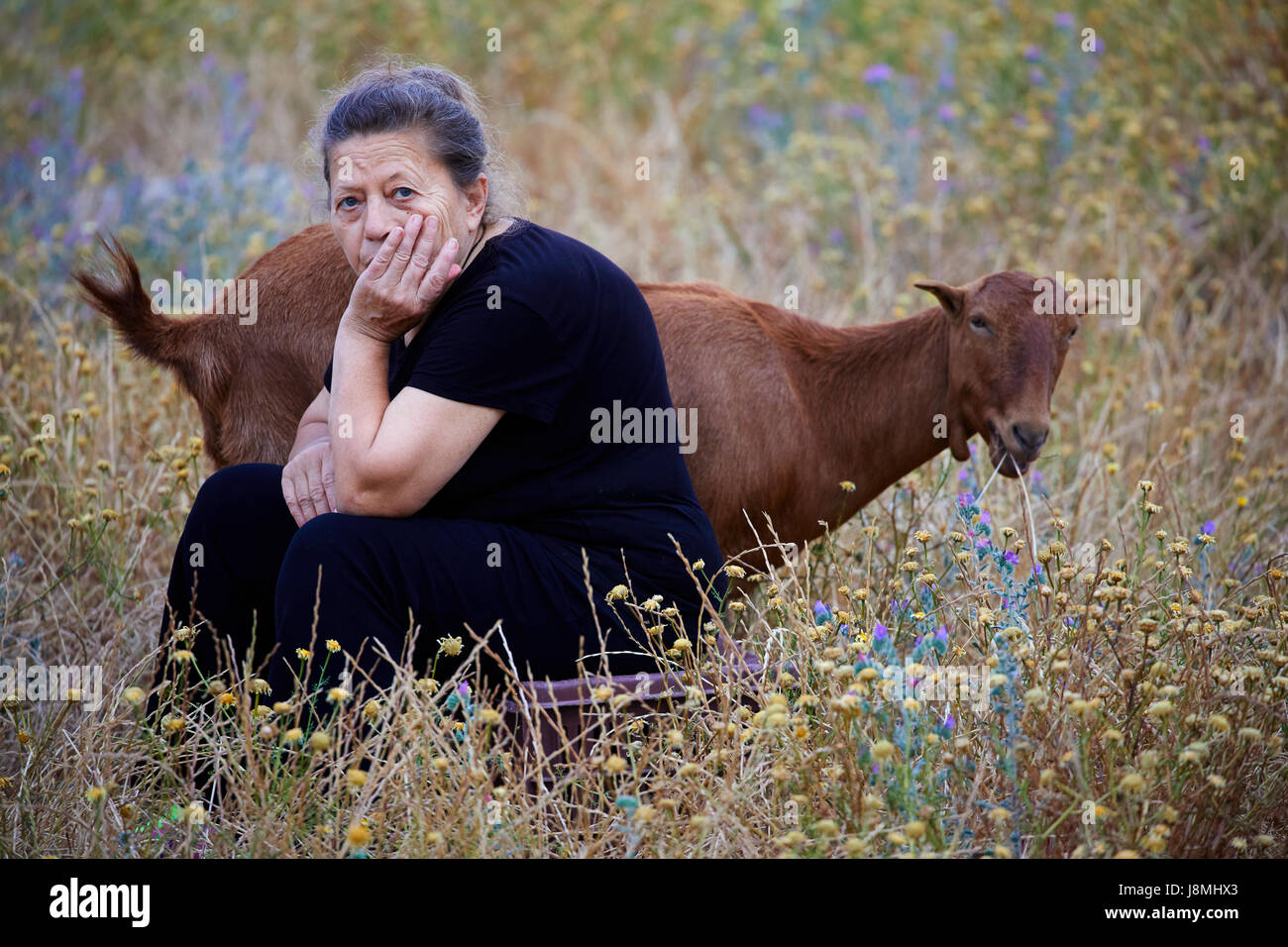 Volcanic Greek island Santorini one of the Cyclades islands in the ...