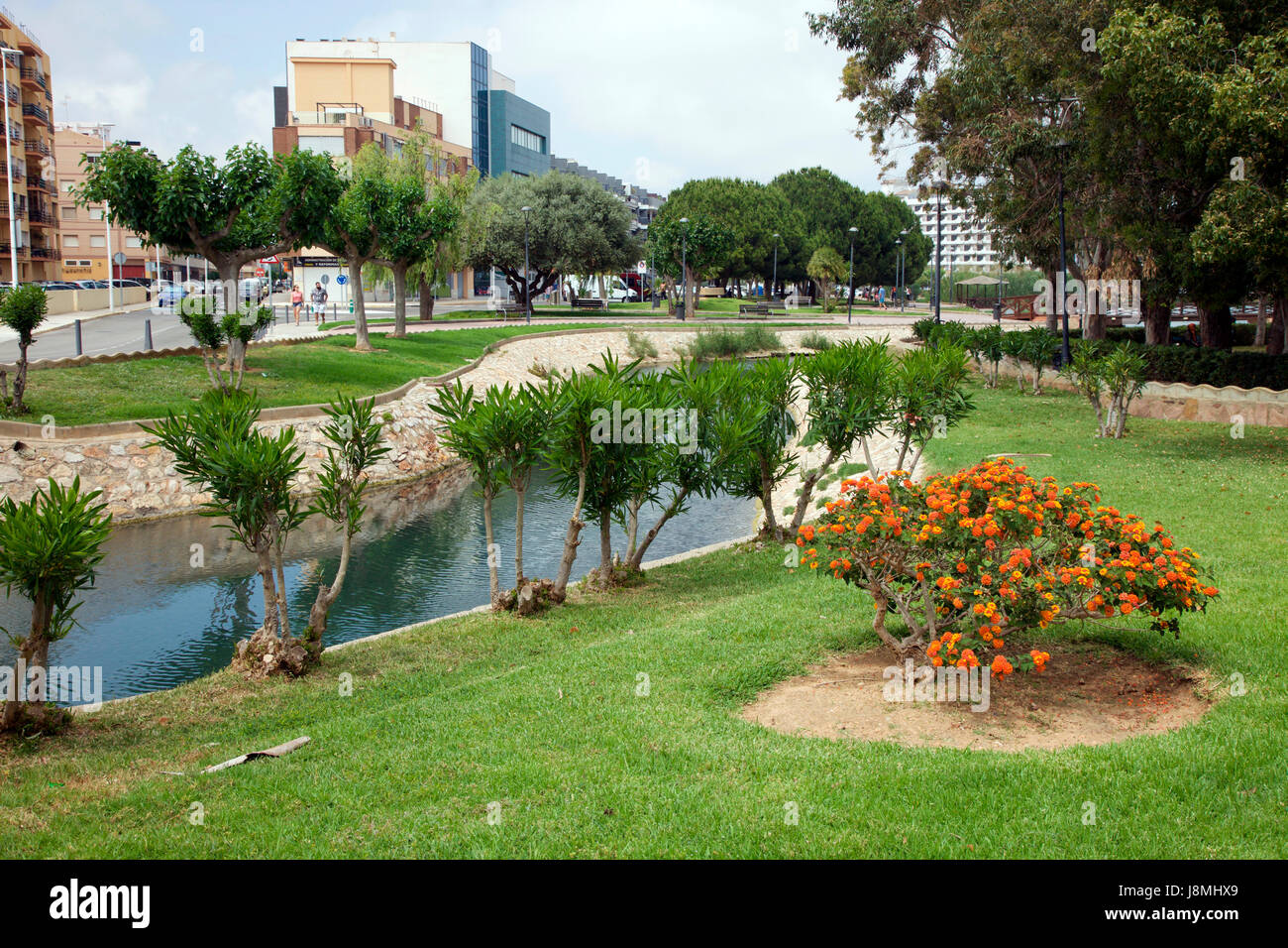Freshwater oasis hi-res stock photography and images - Alamy