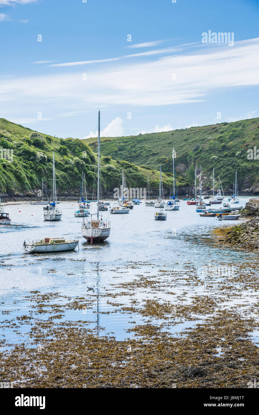 Solva quay hi-res stock photography and images - Alamy