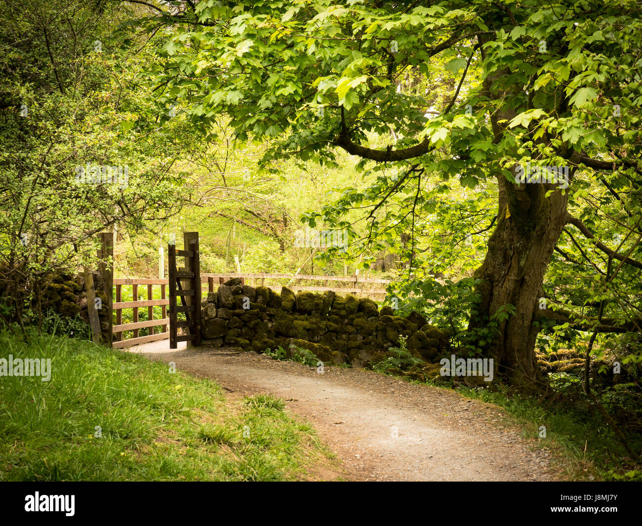 A beautiful secluded path and open gate in The Cotswolds ...