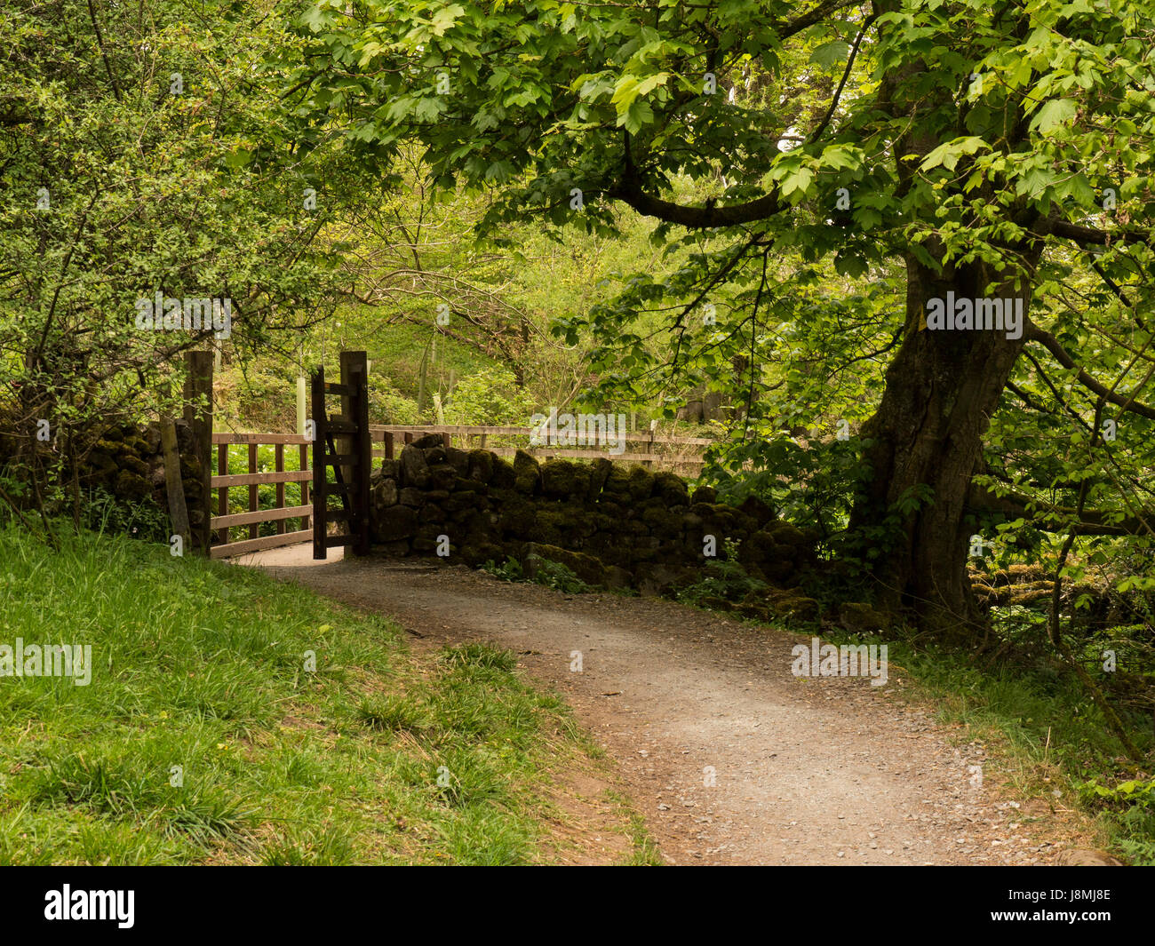 A beautiful secluded path and open gate in The Cotswolds ...