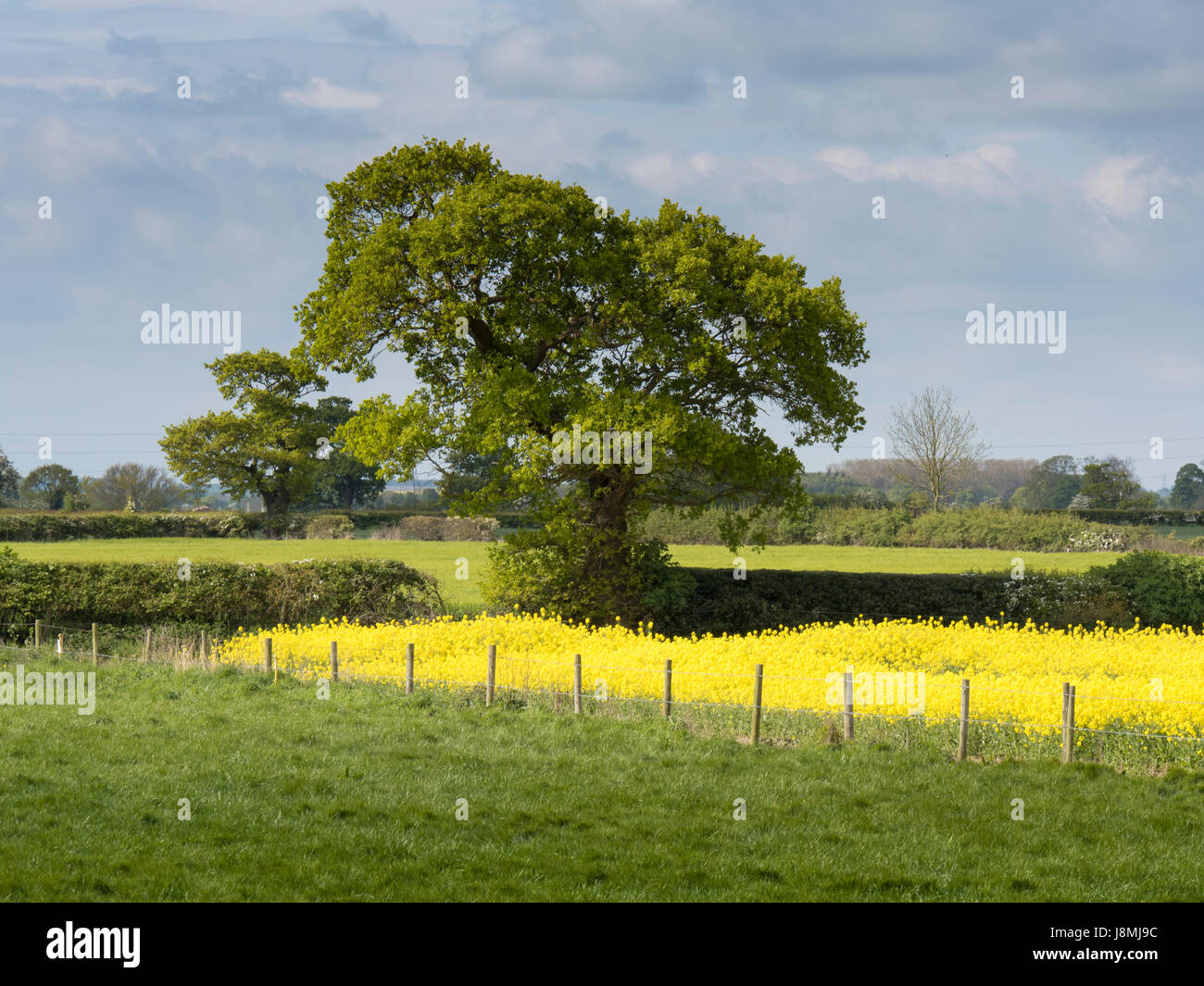 Landscapes in The Cotswolds, Gloucestershire, England Stock Photo - Alamy