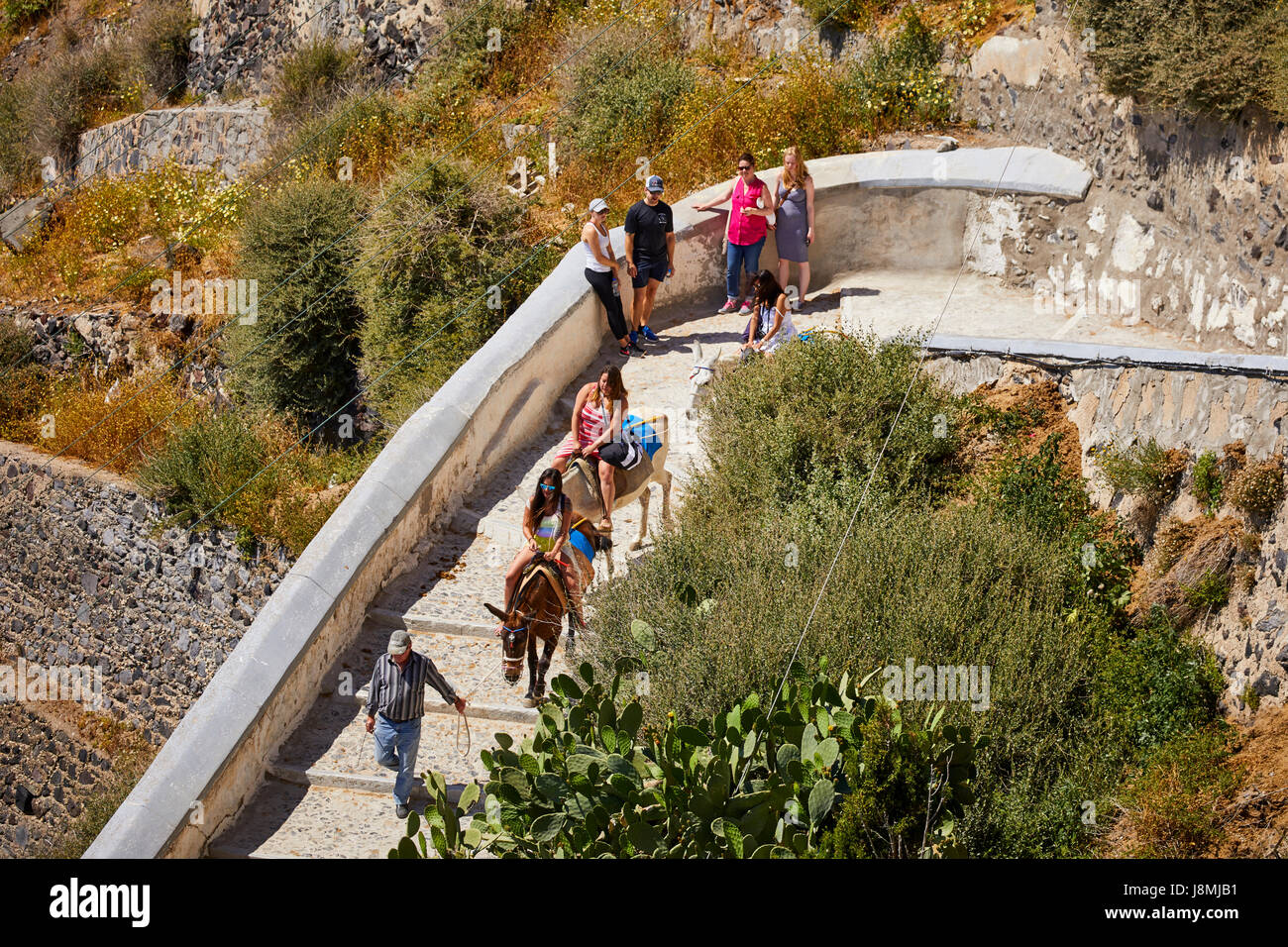 Santorini donkey rides hi-res stock photography and images - Alamy