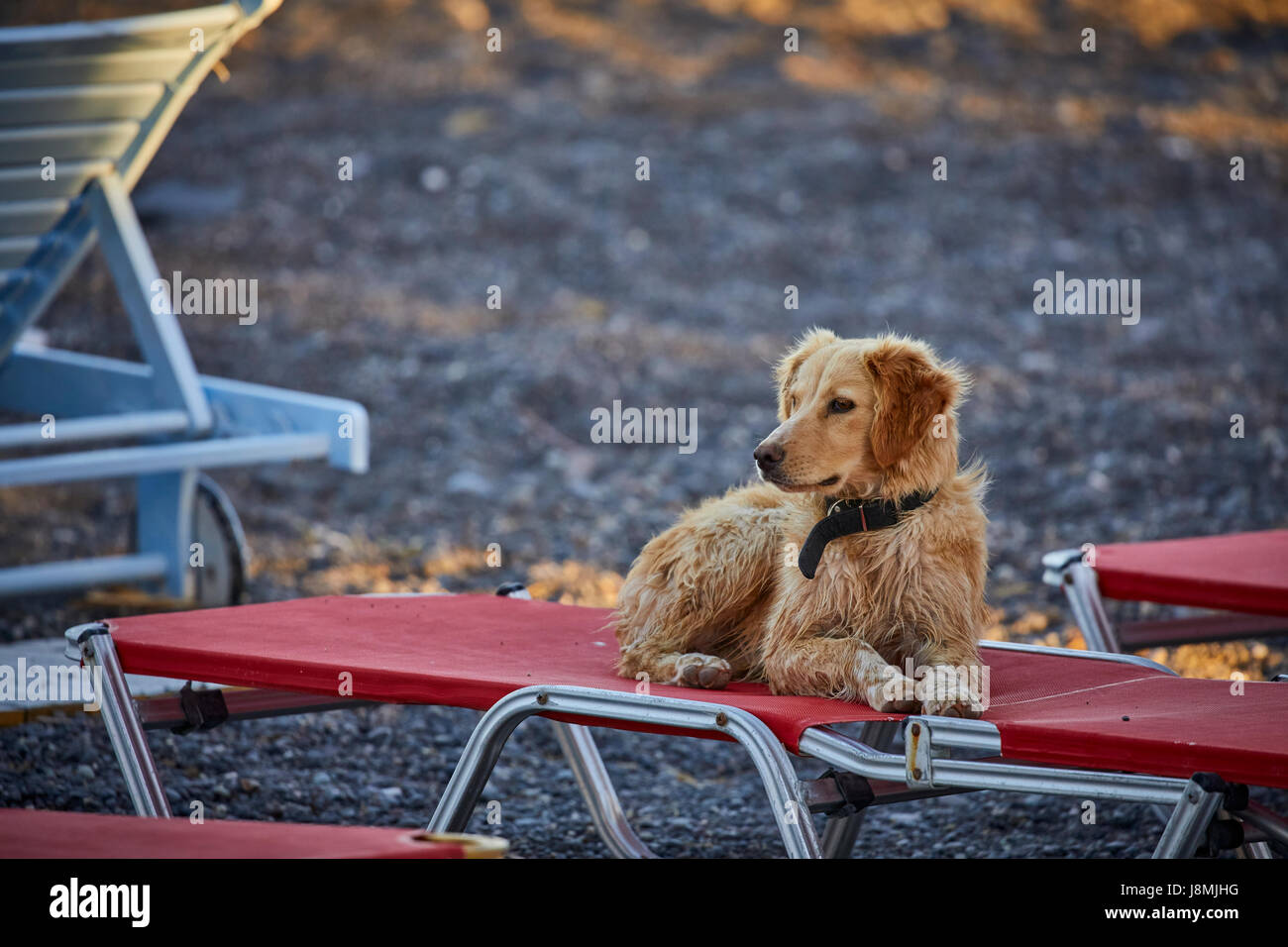 Volcanic Greek island Santorini one of the Cyclades islands in the ...