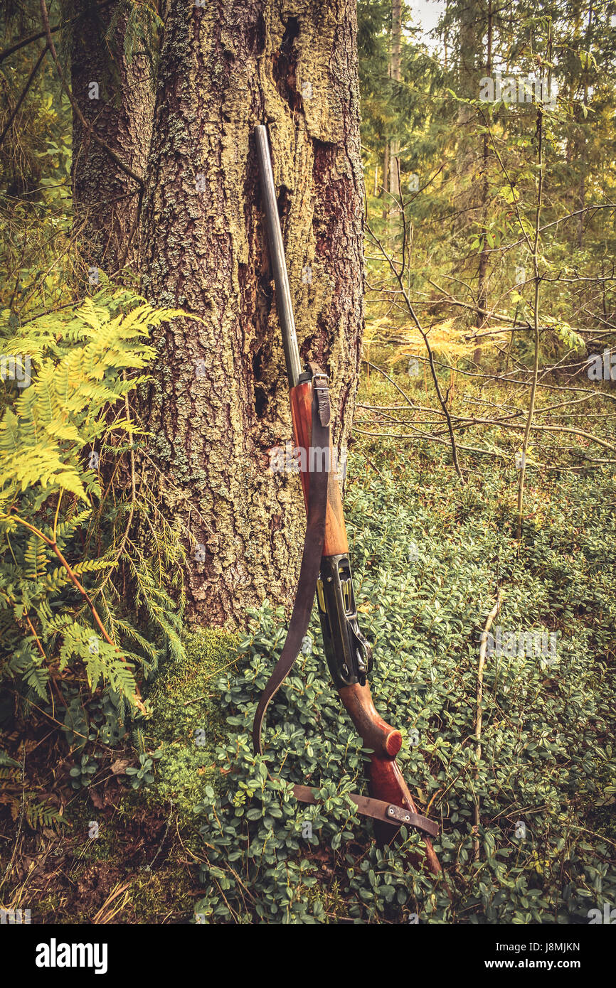 Hunting gun hi-res stock photography and images - Alamy
