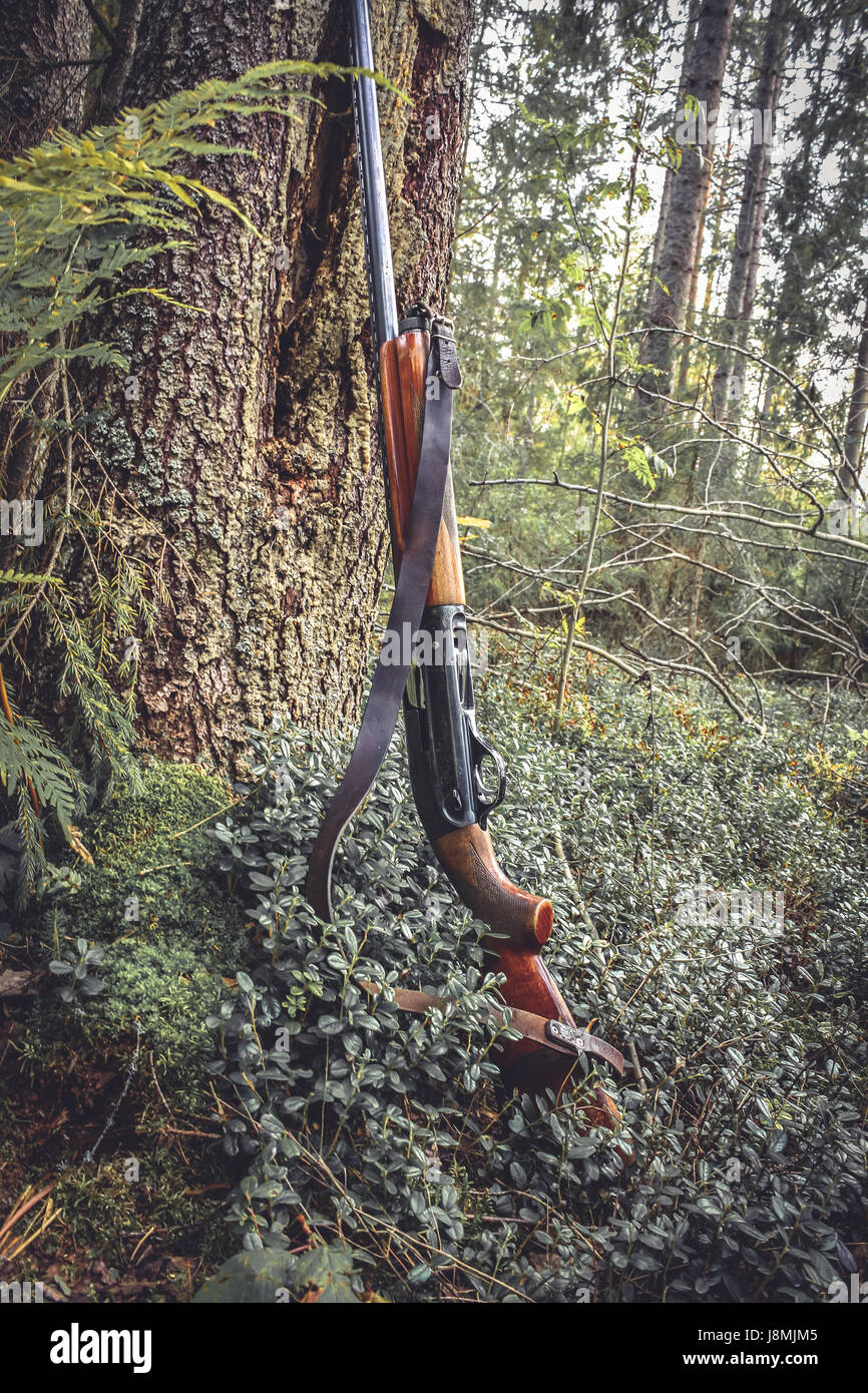 Hunting gun hi-res stock photography and images - Alamy