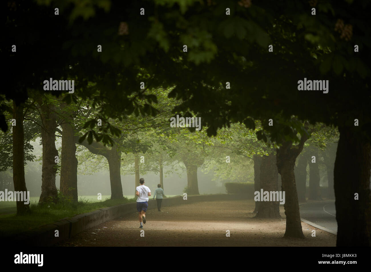 Sefton park hi-res stock photography and images - Alamy