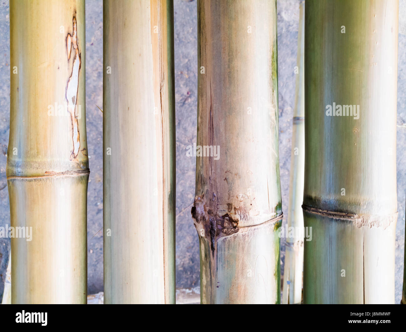 Vertical bamboo wall for background Stock Photo - Alamy