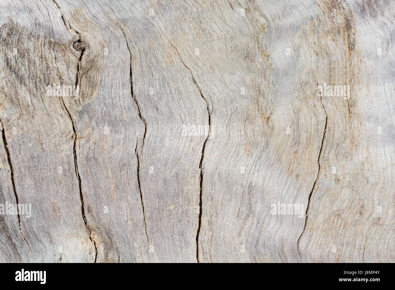 Abstract surface wood table texture background. Close up of dark rustic ...