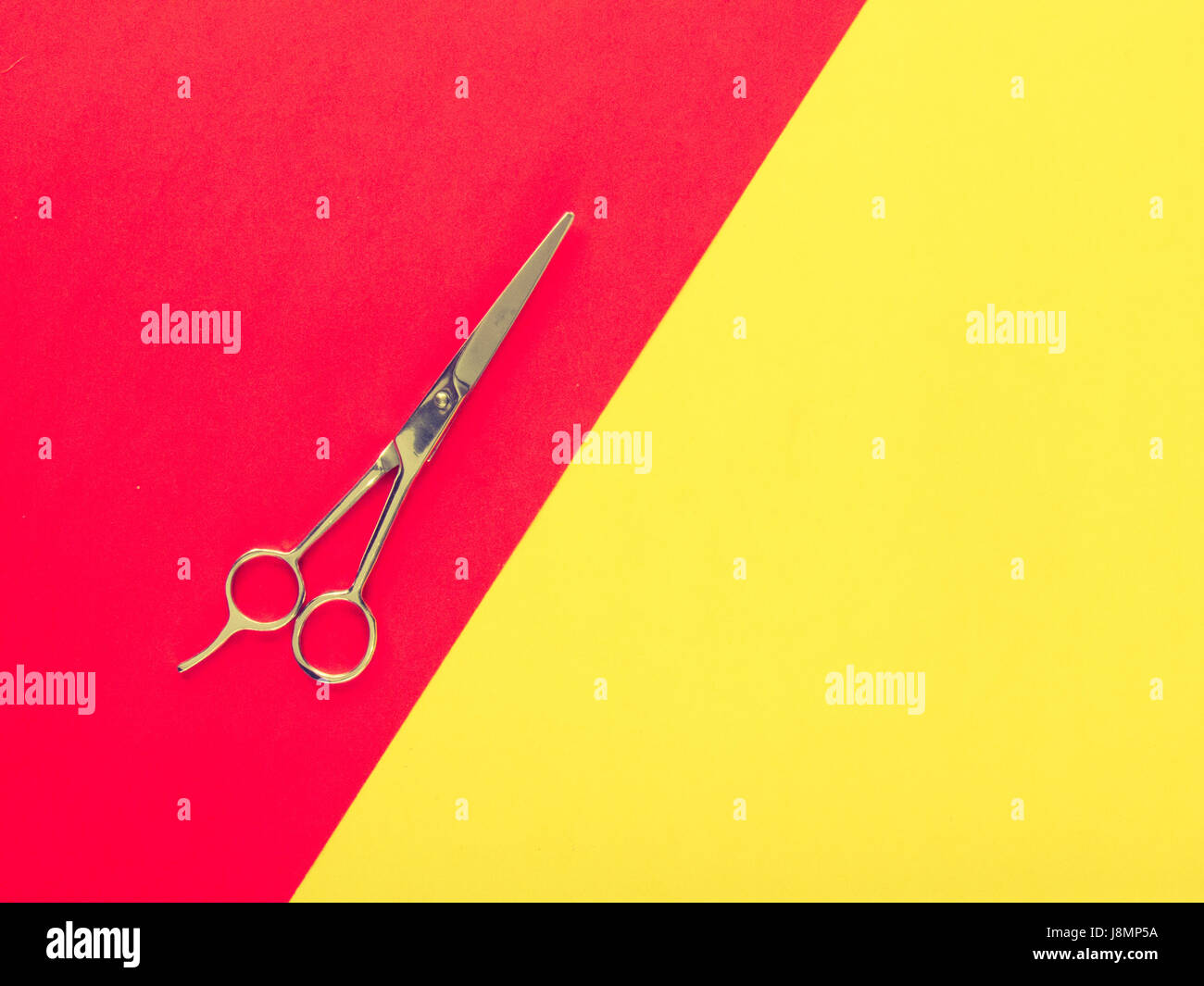 Professional haircutting scissors on a colorful pastel background Stock ...