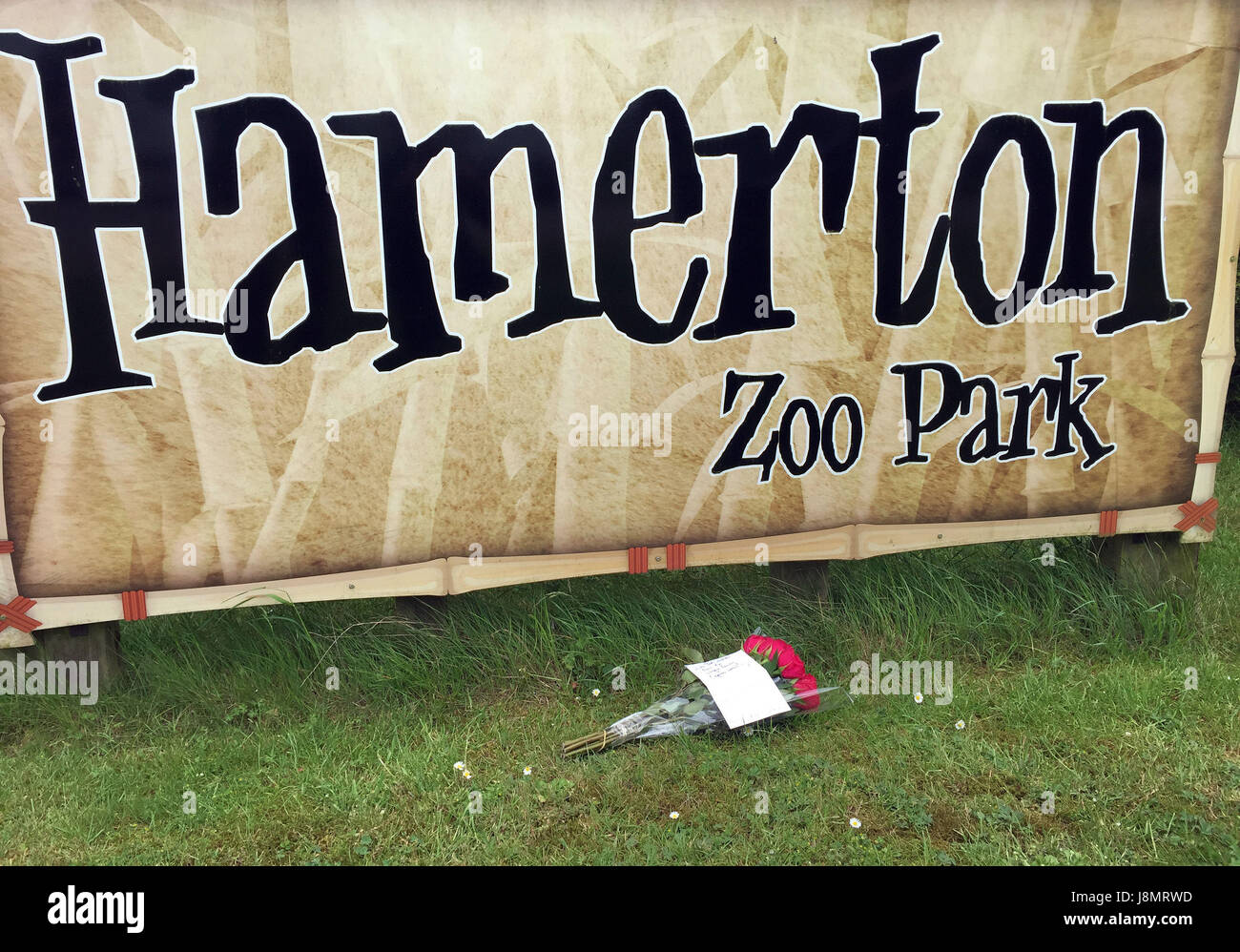 A floral tribute left at the entrance of Hamerton Zoo Park near Sawtry ...