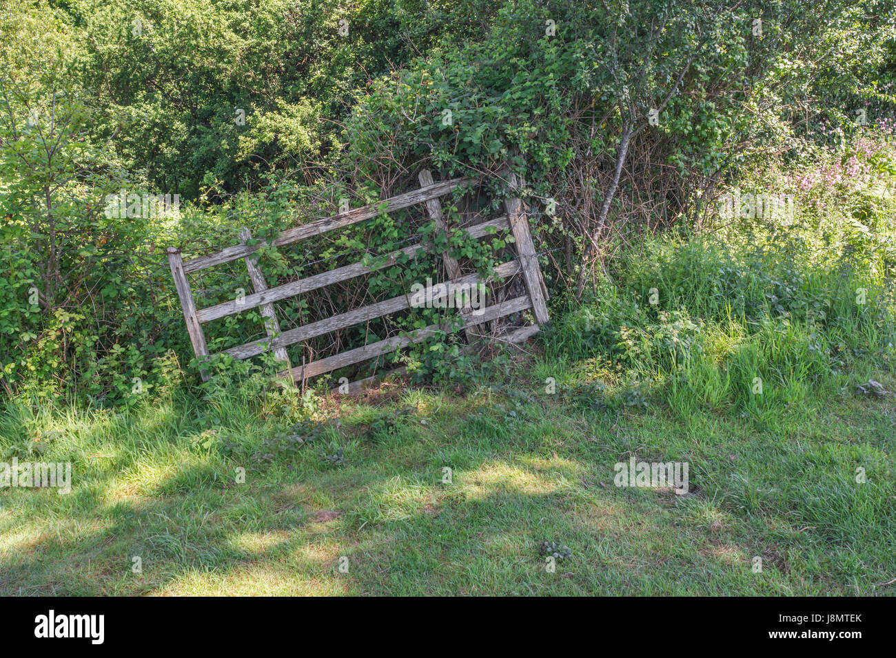 Open floodgates hi-res stock photography and images - Alamy