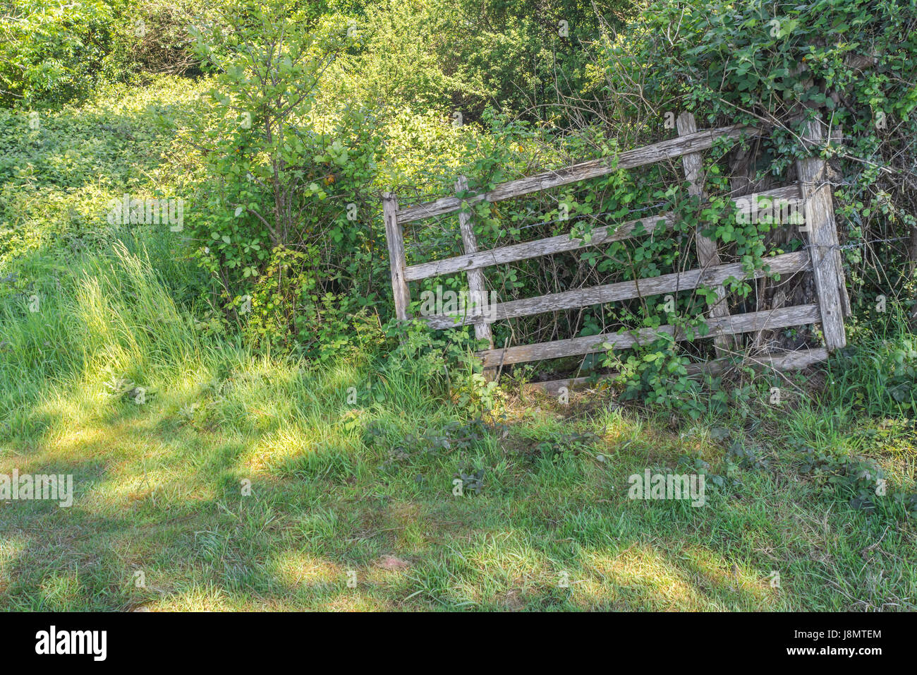 Dilapidated open wooden field gate - possible metaphor for 'no ...