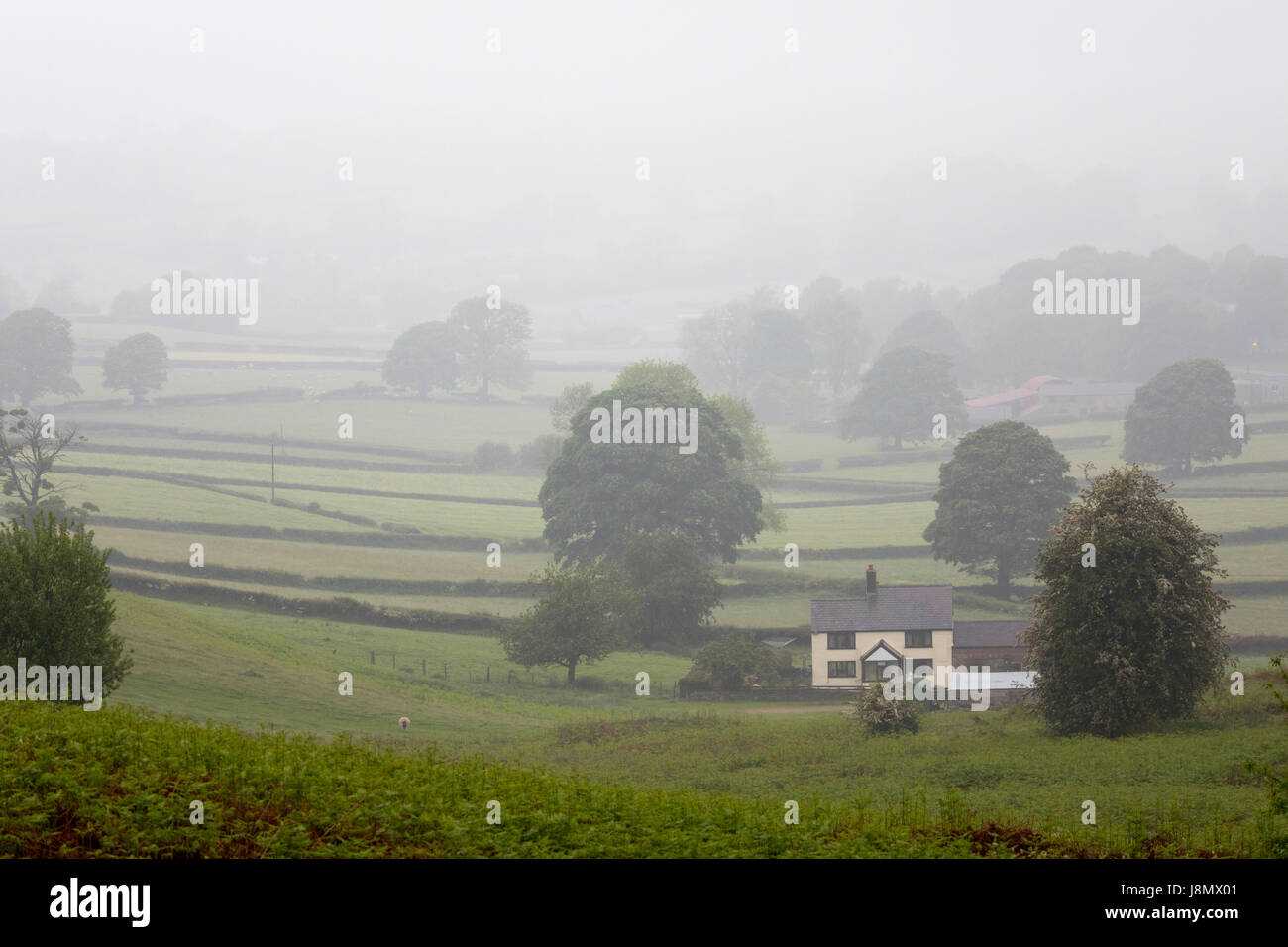 Rain begins to fall over a rural Welsh Landscape and the cottage Tan-y ...