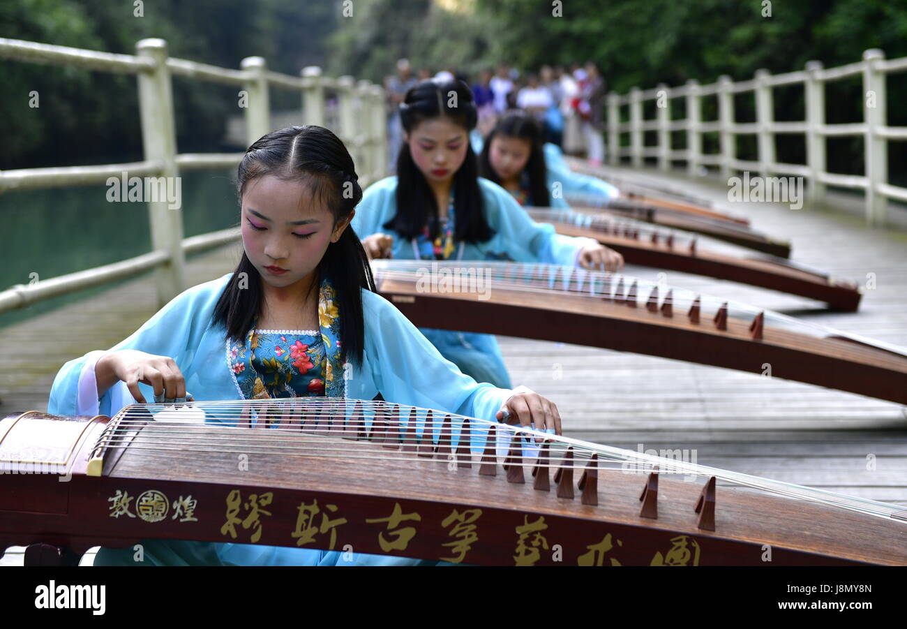 Guzheng hi-res stock photography and images - Alamy