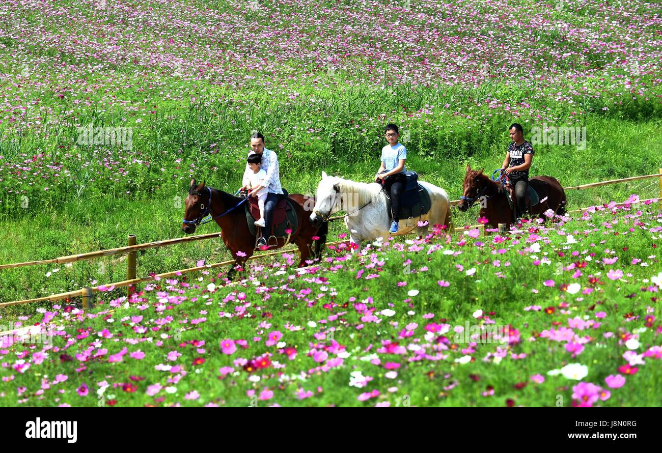 Li luan hi-res stock photography and images - Alamy