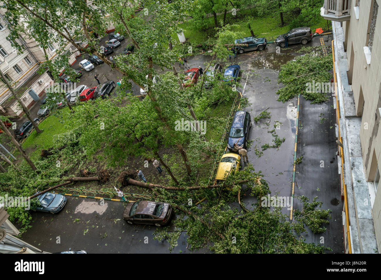 Moscow, Russia. 29th May, 2017. Aftermath of storm in Moscow, Russia ...