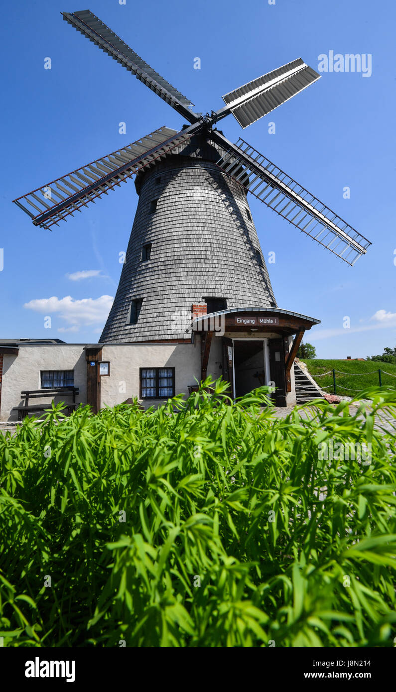 The windmill, built in 1810, at Straupitz in the Spree Forest, Germany ...