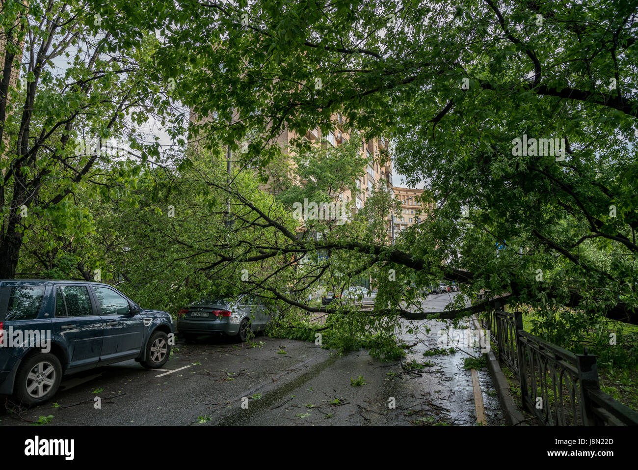 Moscow, Russia. 29th May, 2017. Aftermath of storm in Moscow, Russia ...