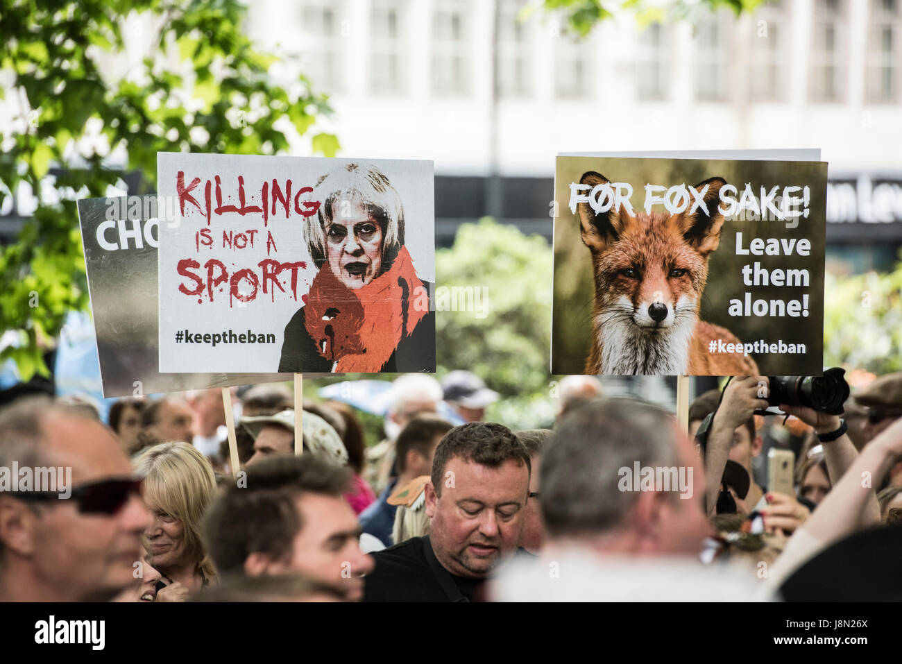 Anti fox hunting hi-res stock photography and images - Alamy