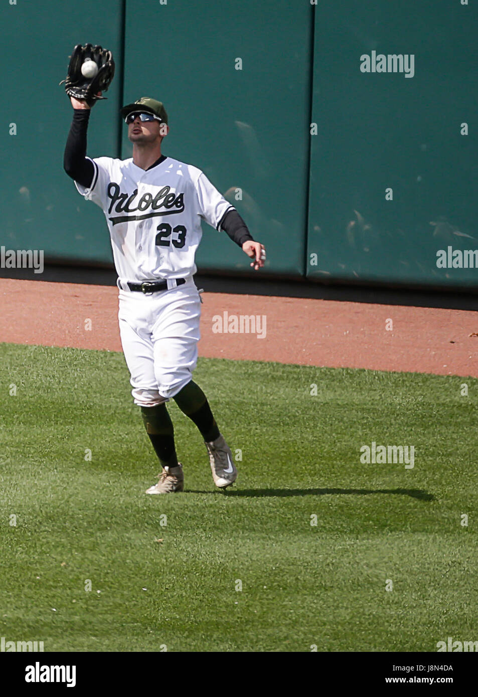 Joey rickard hi-res stock photography and images - Alamy