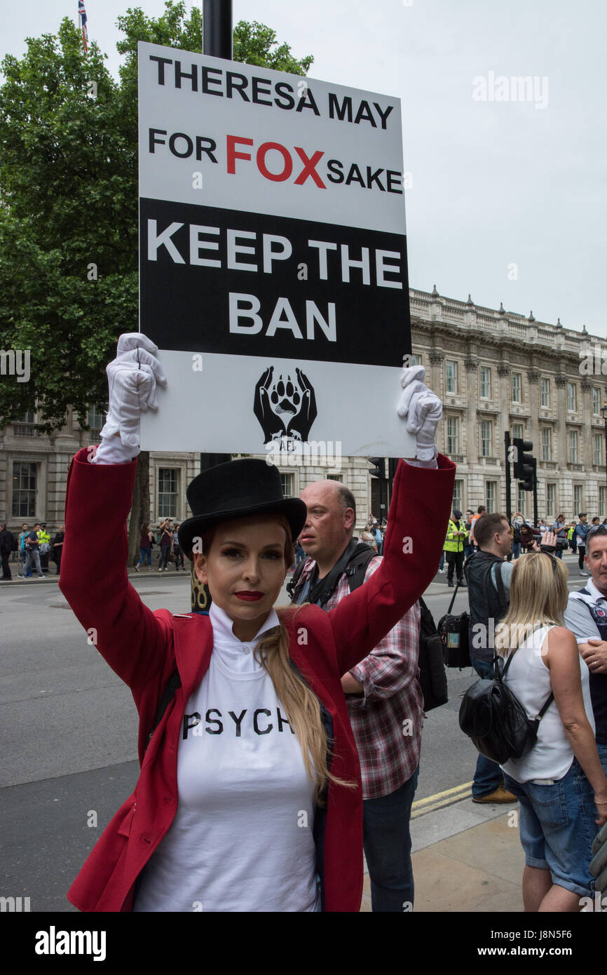 Anti fox hunting hi-res stock photography and images - Alamy