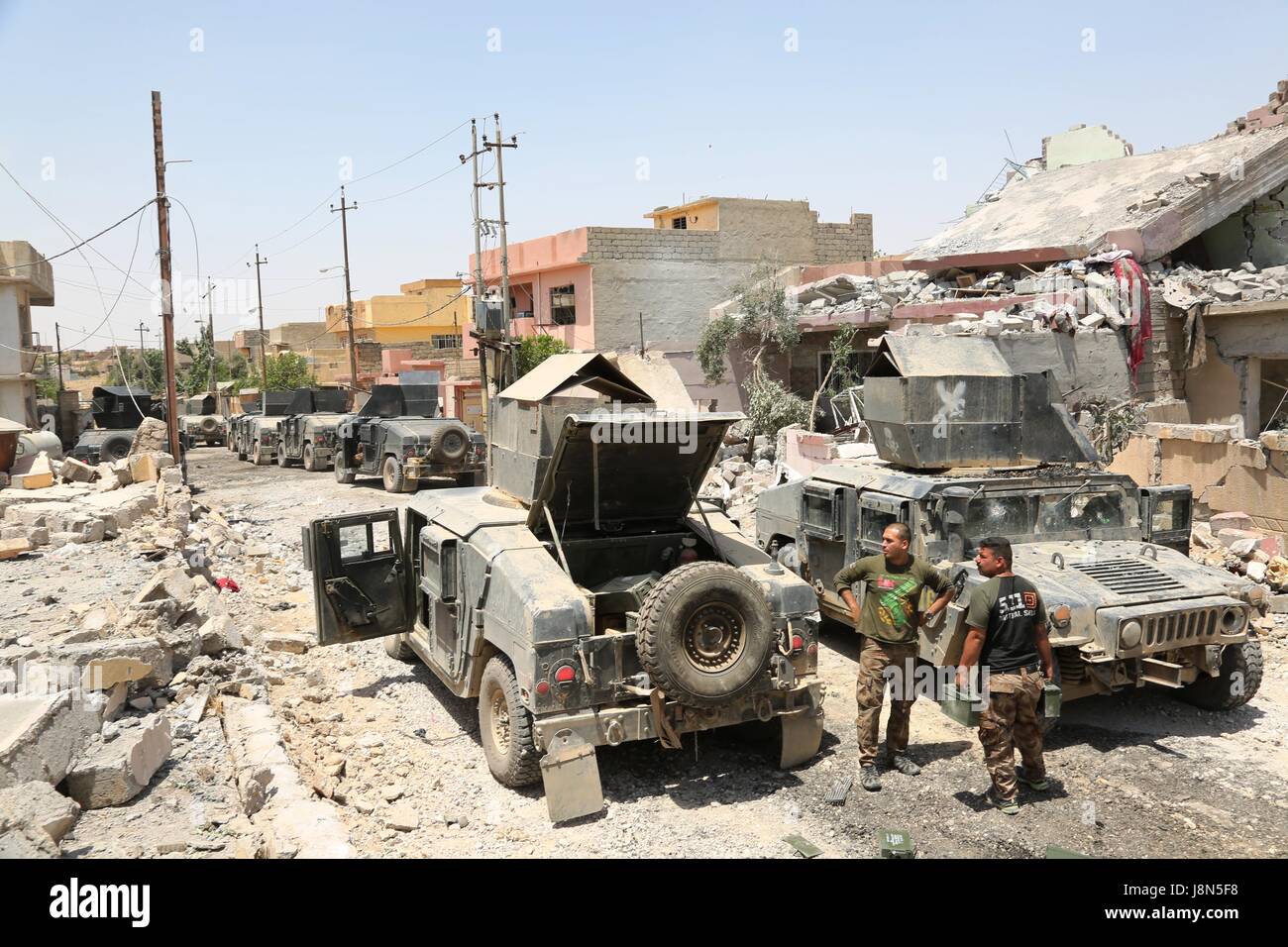 Iraqi cts hi-res stock photography and images - Alamy