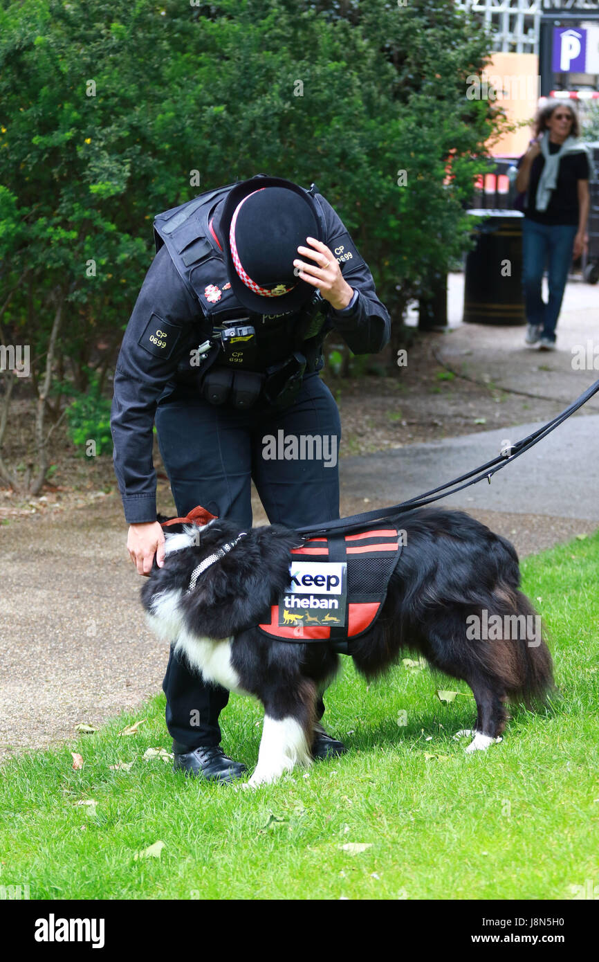 London, UK. 29th May, 2017. A police officer pats a dog wearing a Keep ...