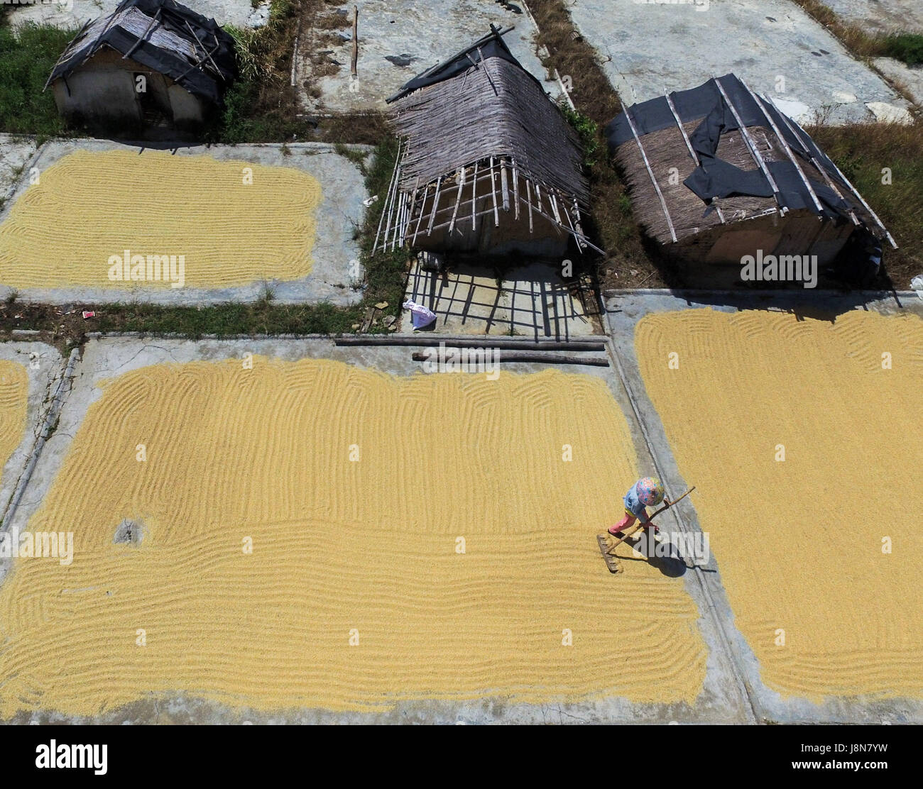 Wuzhishan, China's Hainan Province. 30th May, 2017. Villager Liu ...