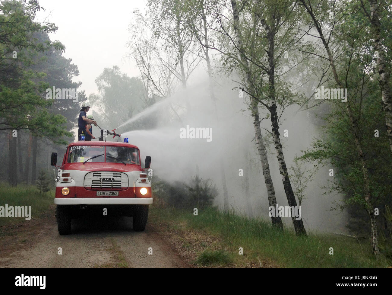 Firefighters extinguish a fire in a forest in the 'Lieberoser Heide ...