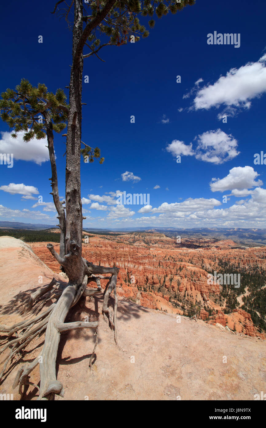 National treasure edge of history hi-res stock photography and images ...