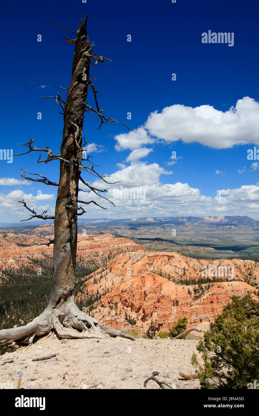 National treasure edge of history hi-res stock photography and images ...