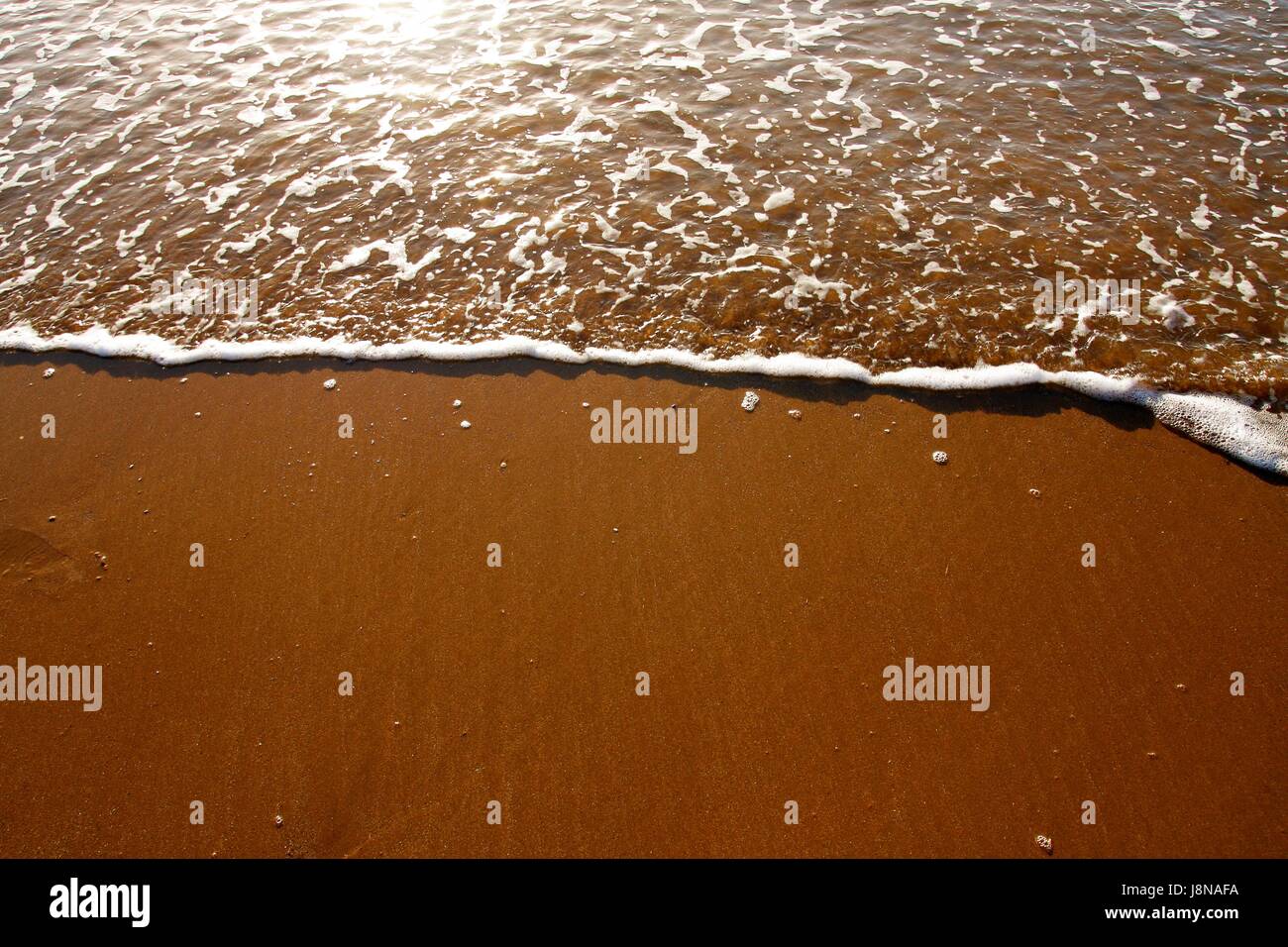 beach, seaside, the beach, seashore, wave, peace, salt water, sea ...