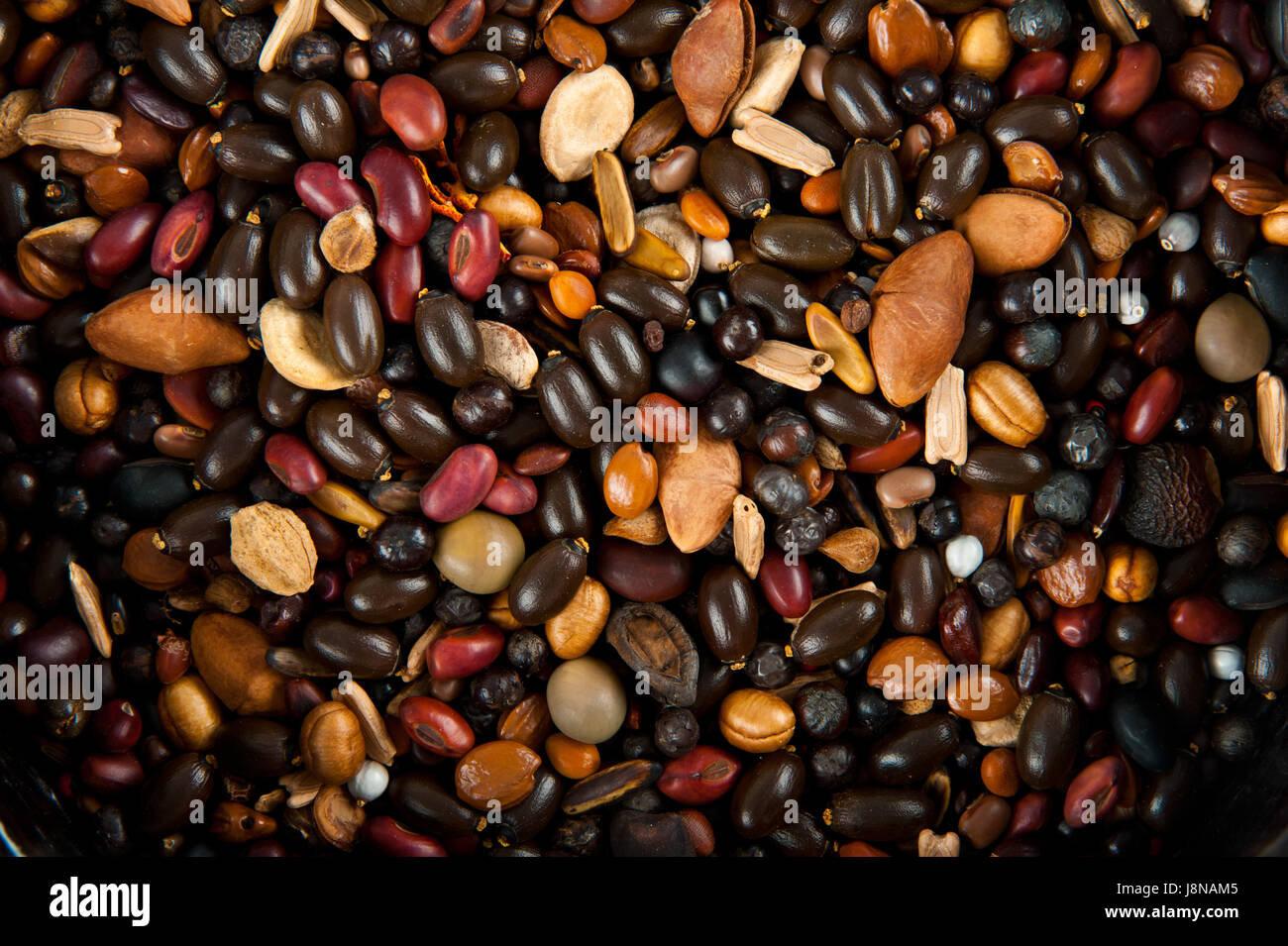 progenies, fruits, nuts, emblements, seeds, heap, pile, sweets ...