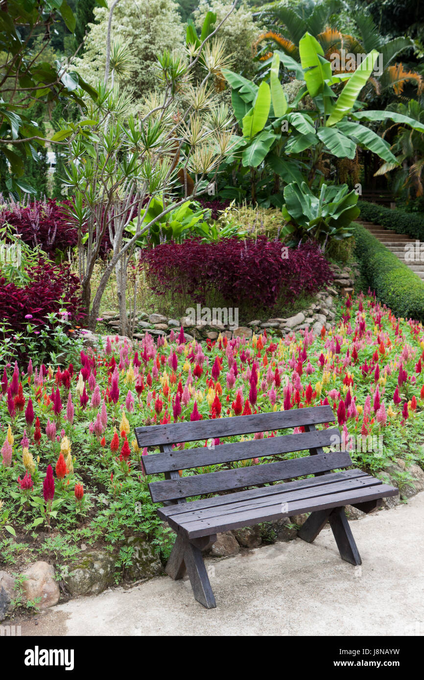 park, garden, flower, plant, exotic, tropical, gardens, seat, bench ...