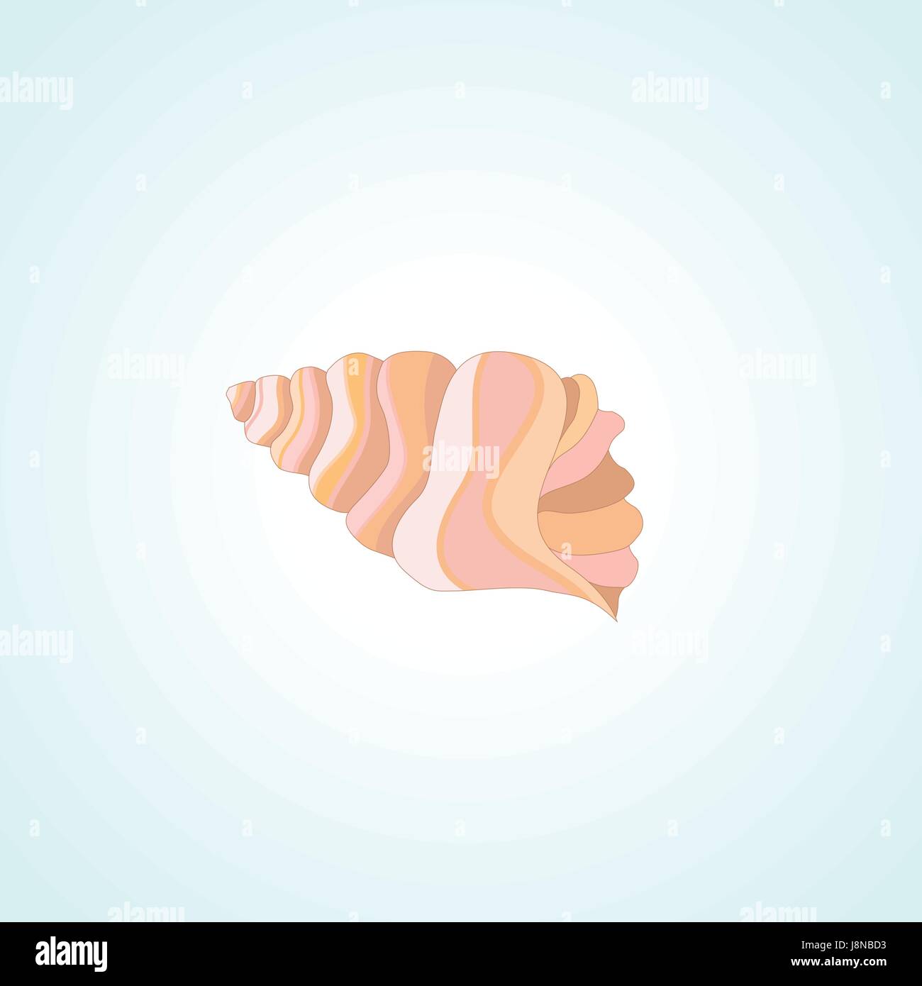 Seashell hand drawn vector in subtle colors Stock Vector Image & Art ...