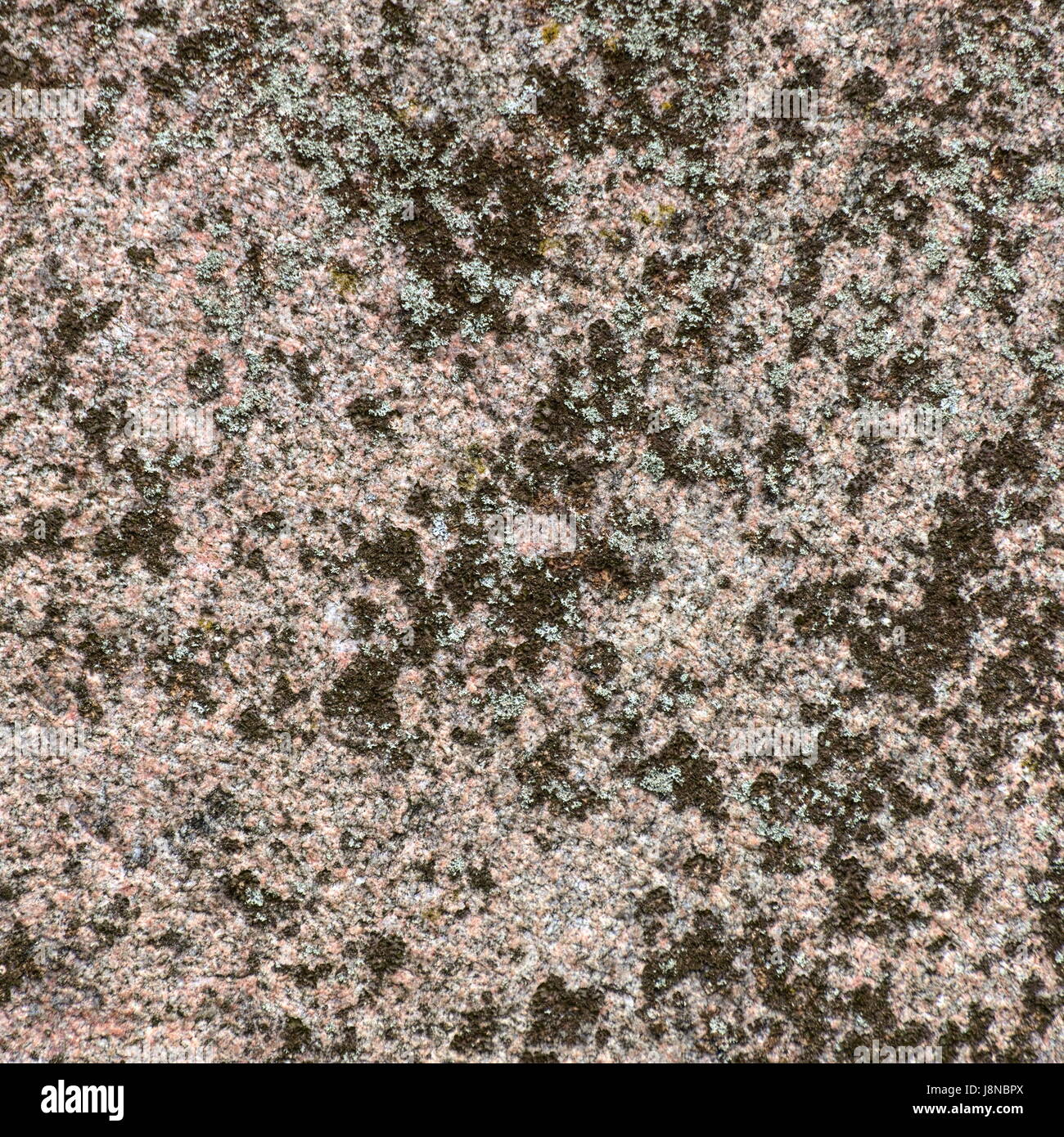 Macro of a granite structure with lichen Stock Photo - Alamy