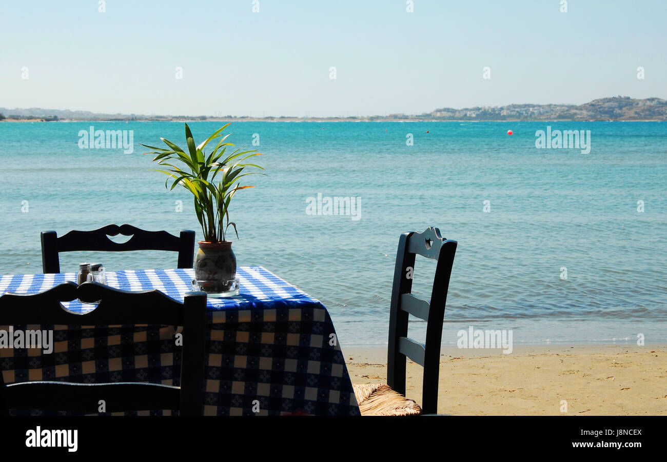 beach, seaside, the beach, seashore, salt water, sea, ocean, water ...