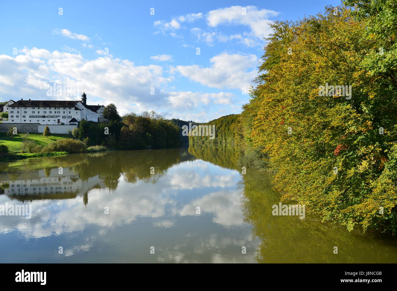 leaves, discoloration, colour, colors, colours, forest, water, nature ...