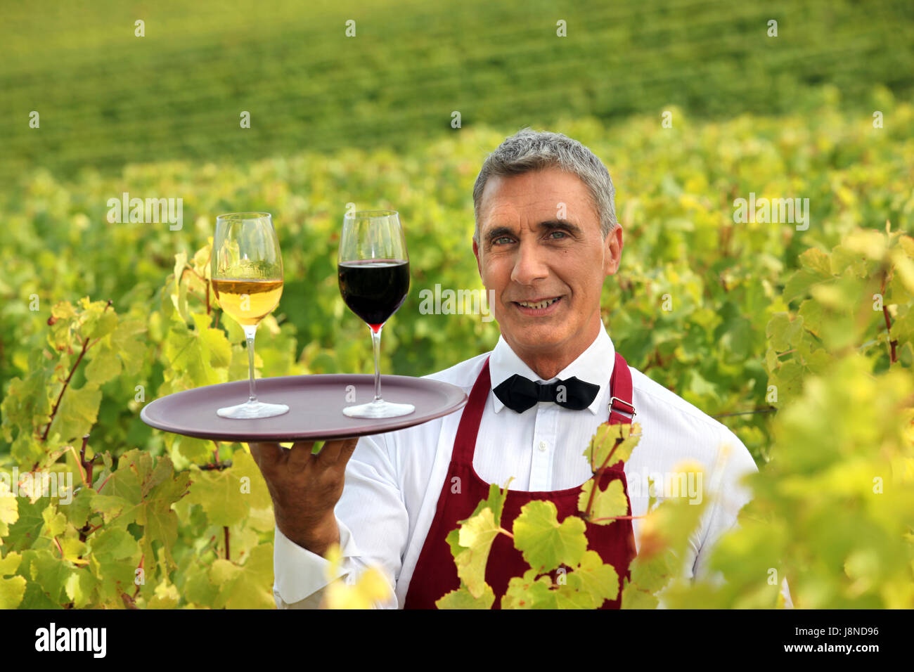 drink, drinking, bibs, agriculture, farming, backyard, fruity, formal ...