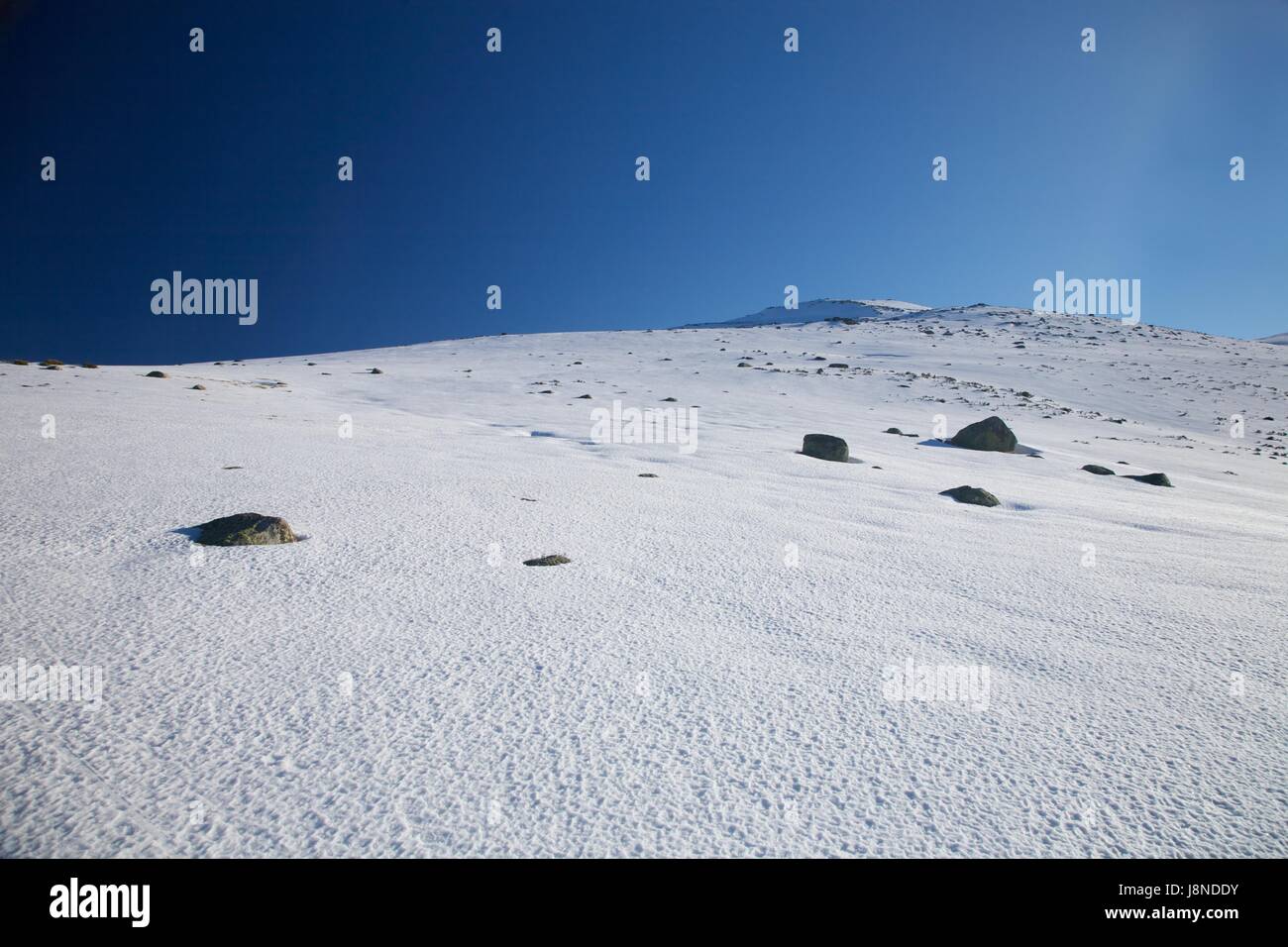 winter, snow, coke, cocaine, material, drug, anaesthetic, addictive ...