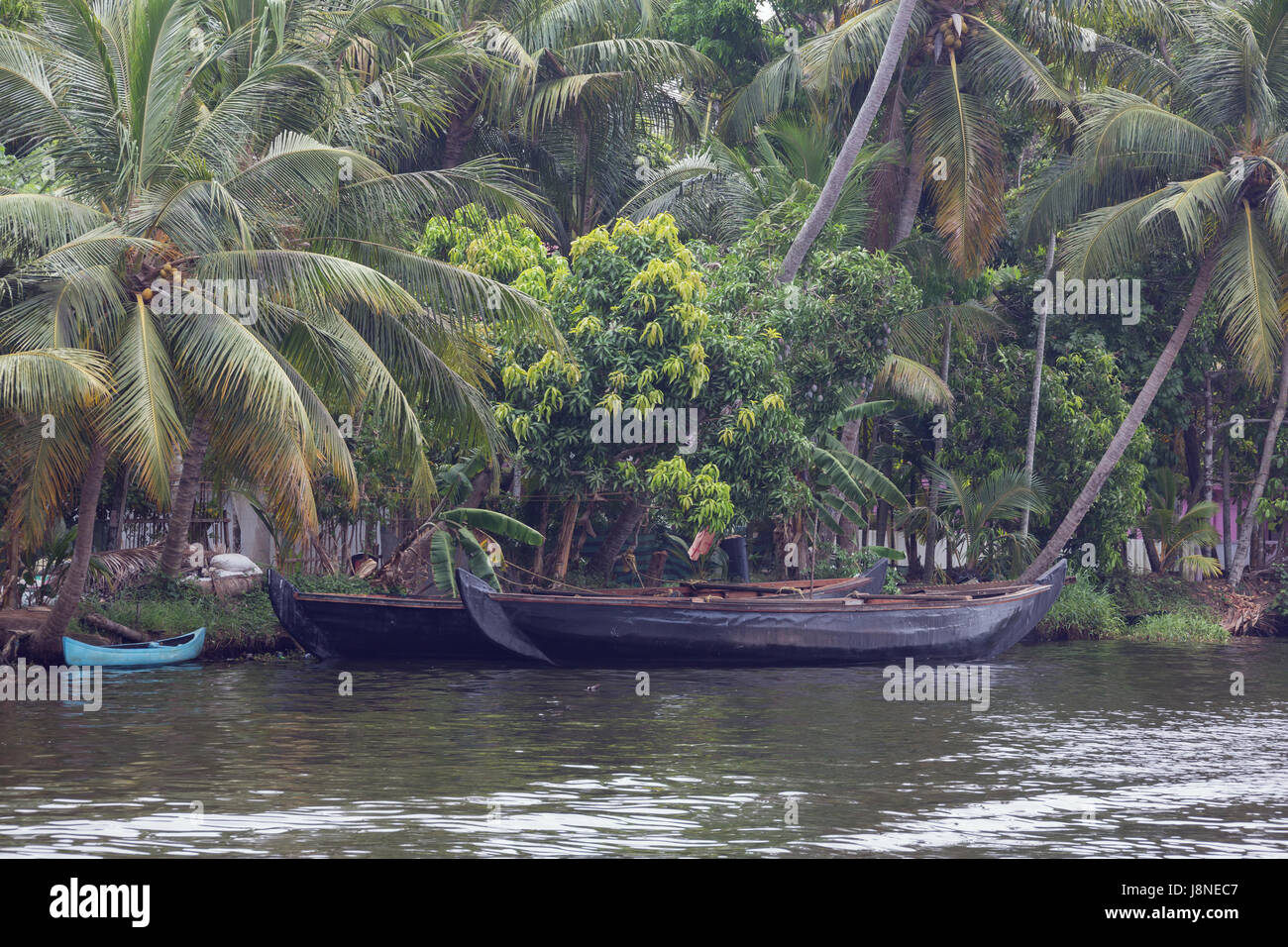 Typical boat scenery for the backwaters of Alappuzha with several boats ...