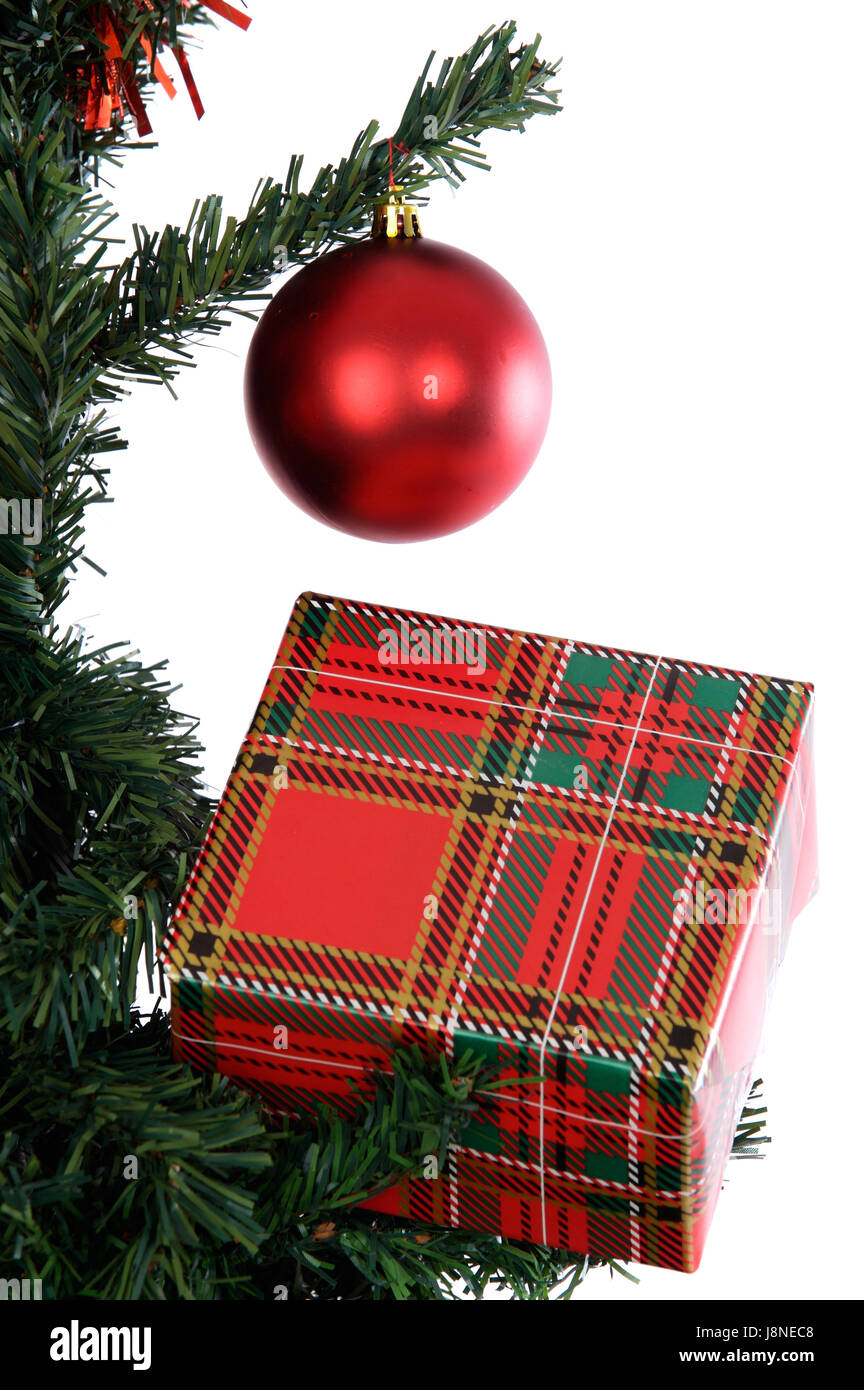 present, isolated, holiday, colour, model, design, project, concept ...